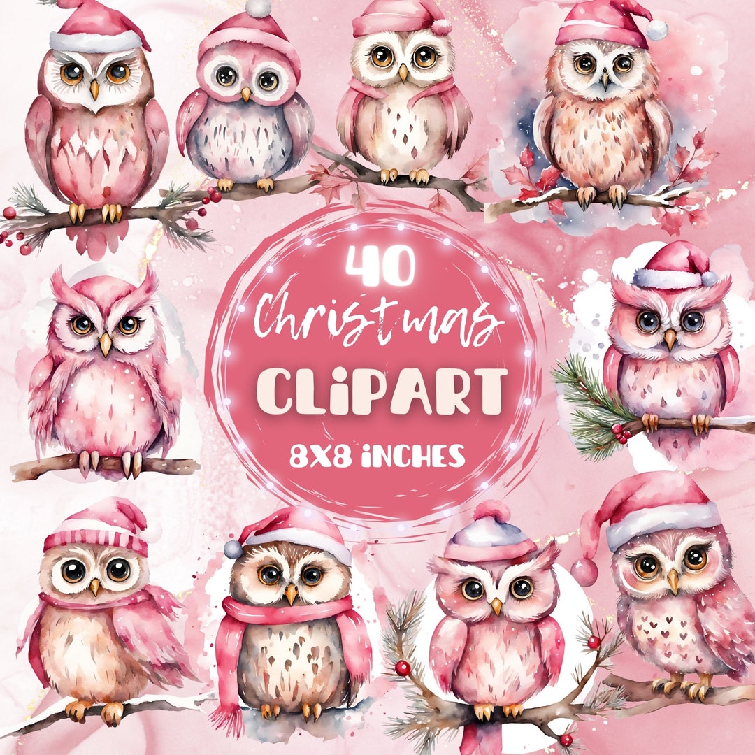 Festive Owls Clipart Adorable Christmas Owl Graphics for - Etsy