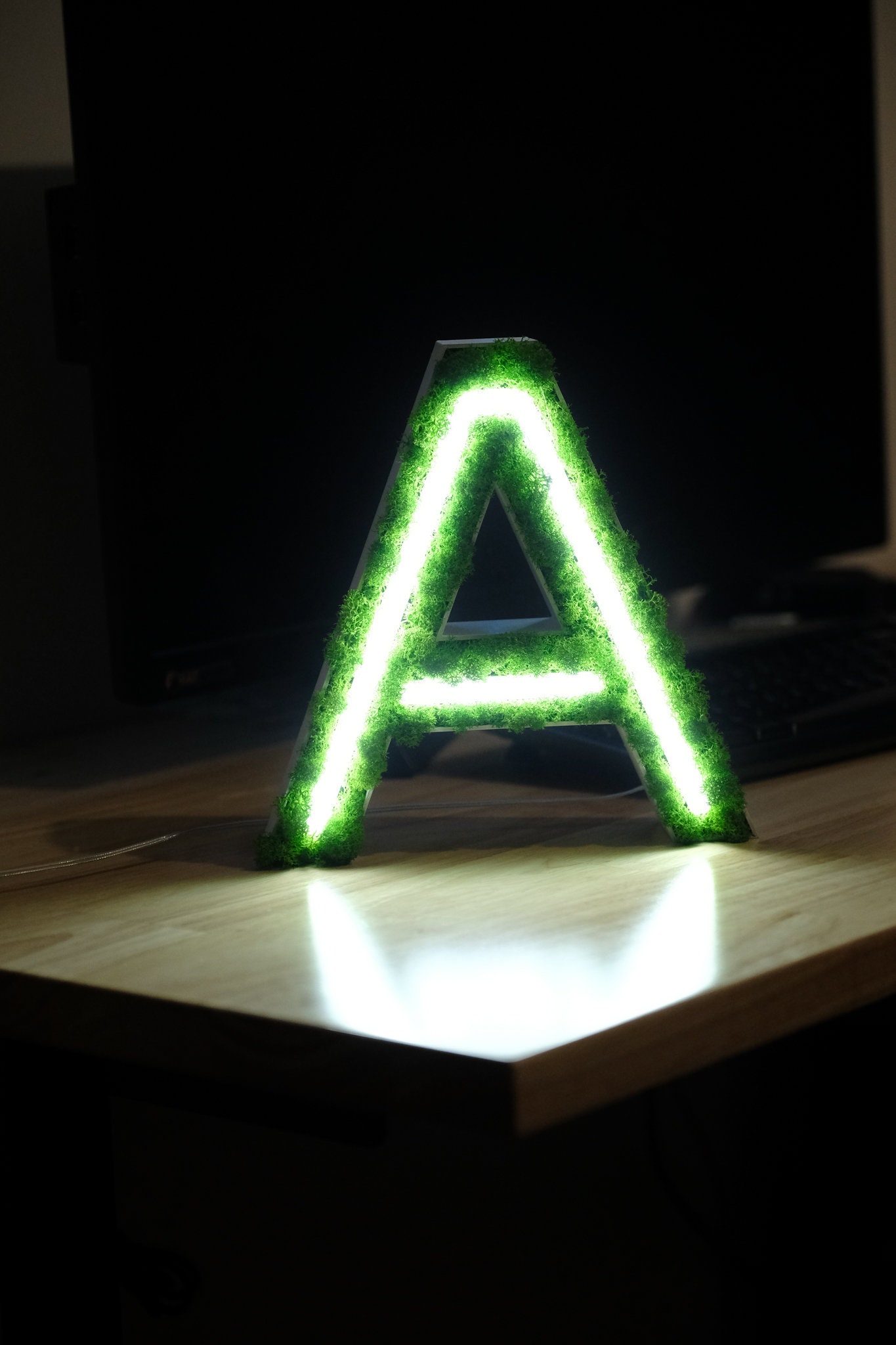 Neon Custom Moss Letters Moss Words Wall Art Dried Moss - Etsy