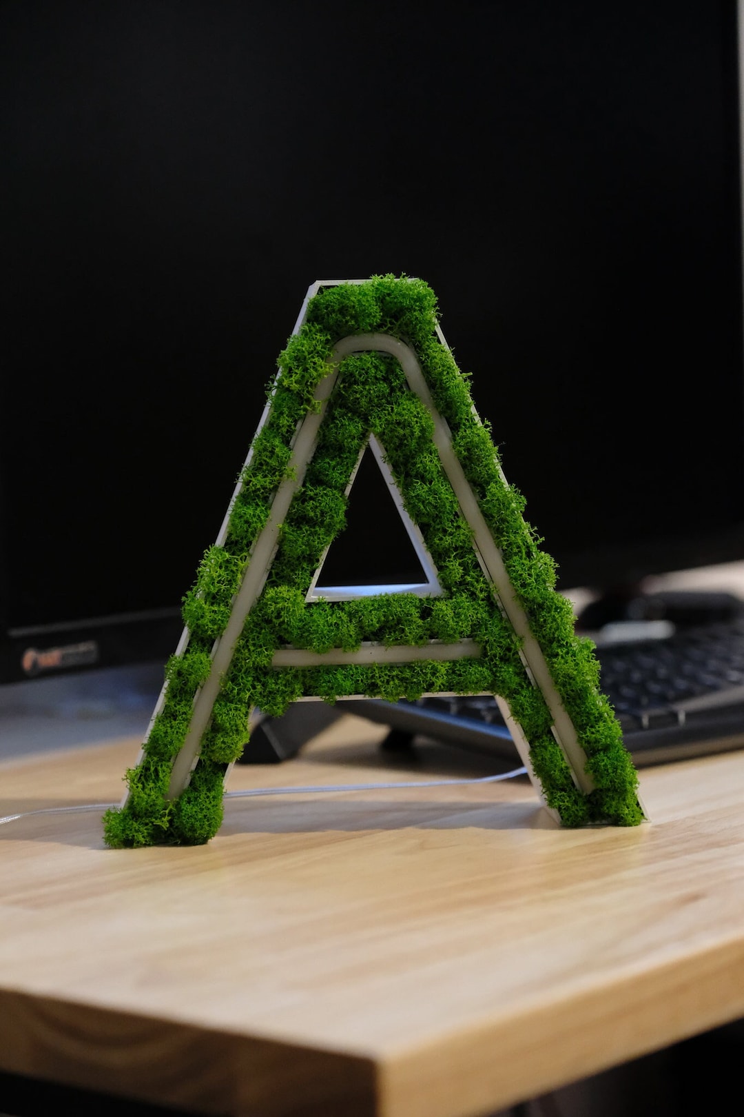 Neon Custom Moss Letters Moss Words Wall Art Dried Moss - Etsy