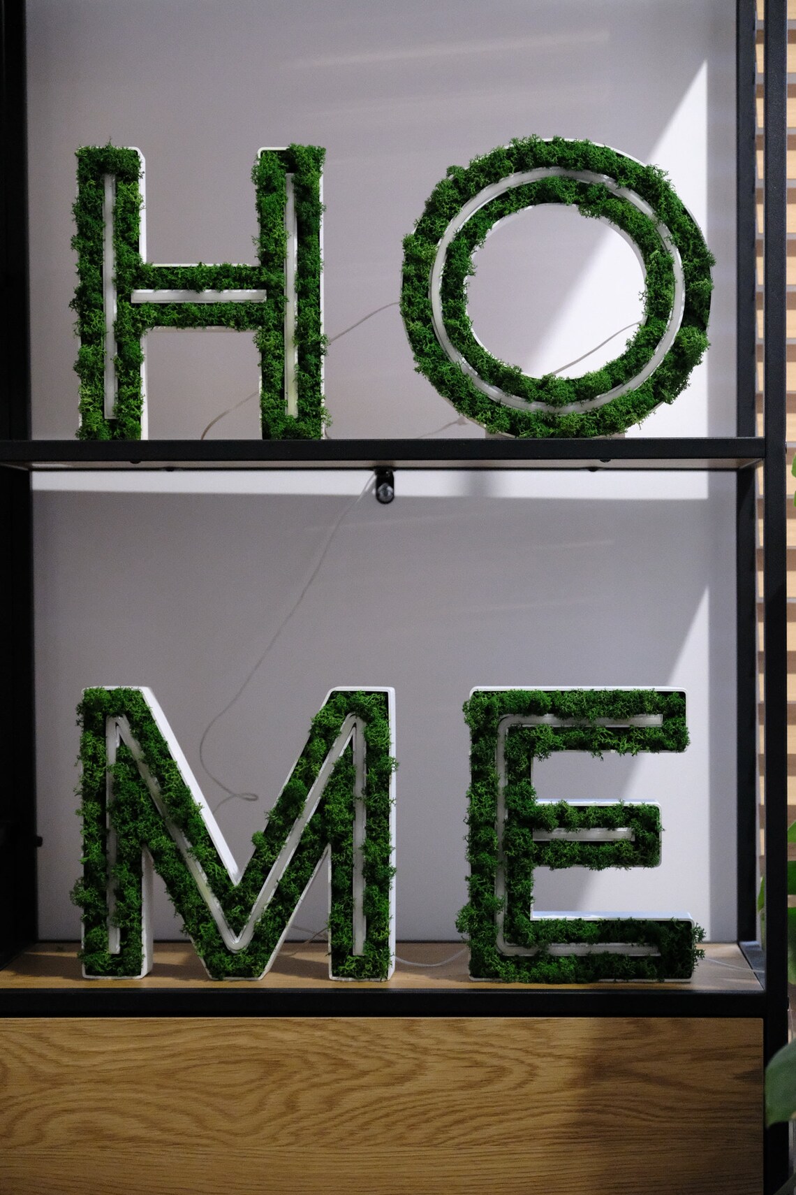 Neon Custom Moss Letters Moss Words Wall Art Dried Moss - Etsy