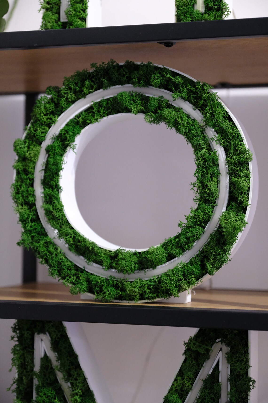 Neon Custom Moss Letters Moss Words Wall Art Dried Moss - Etsy