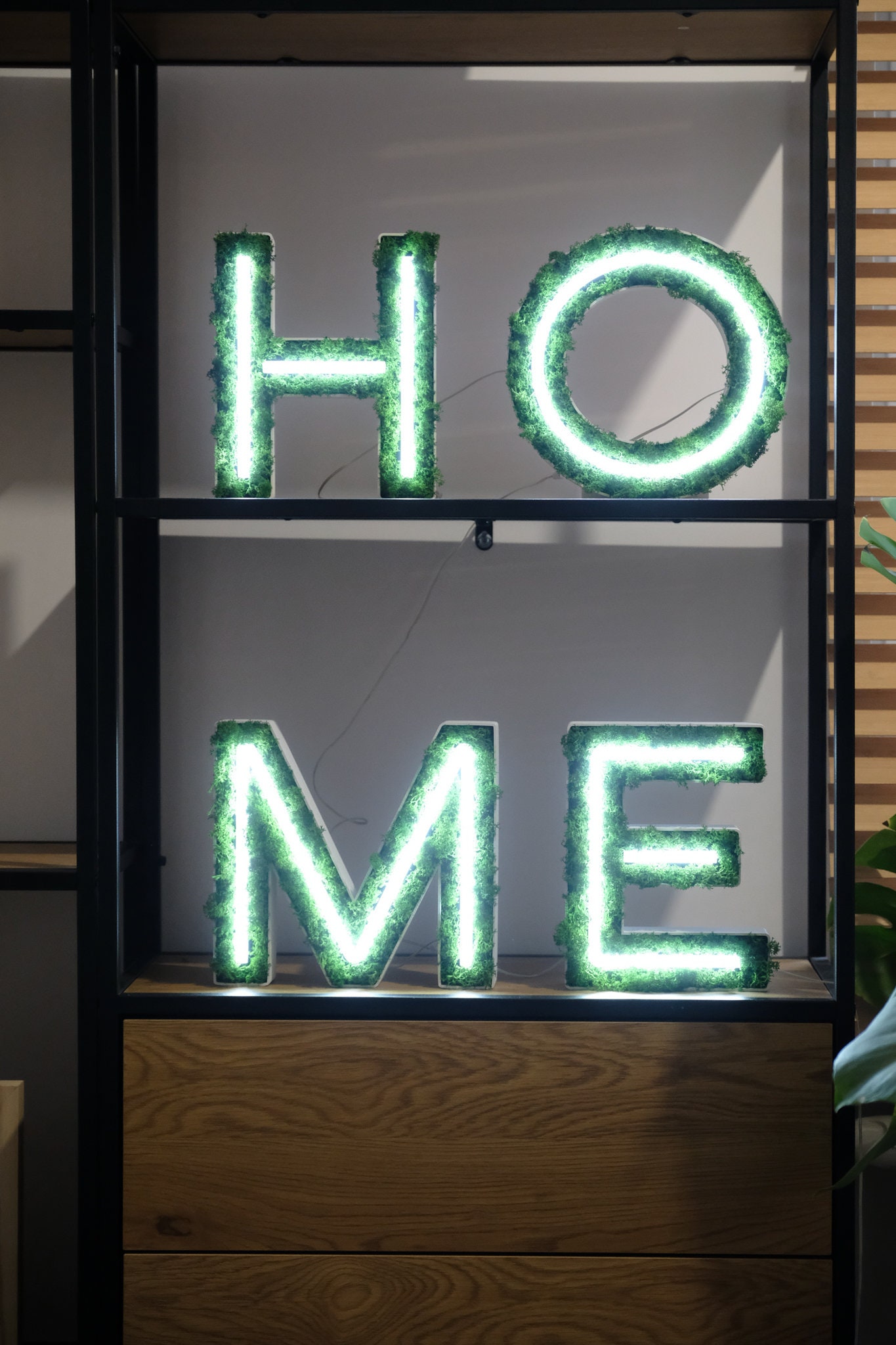 Neon Custom Moss Letters Moss Words Wall Art Dried Moss - Etsy