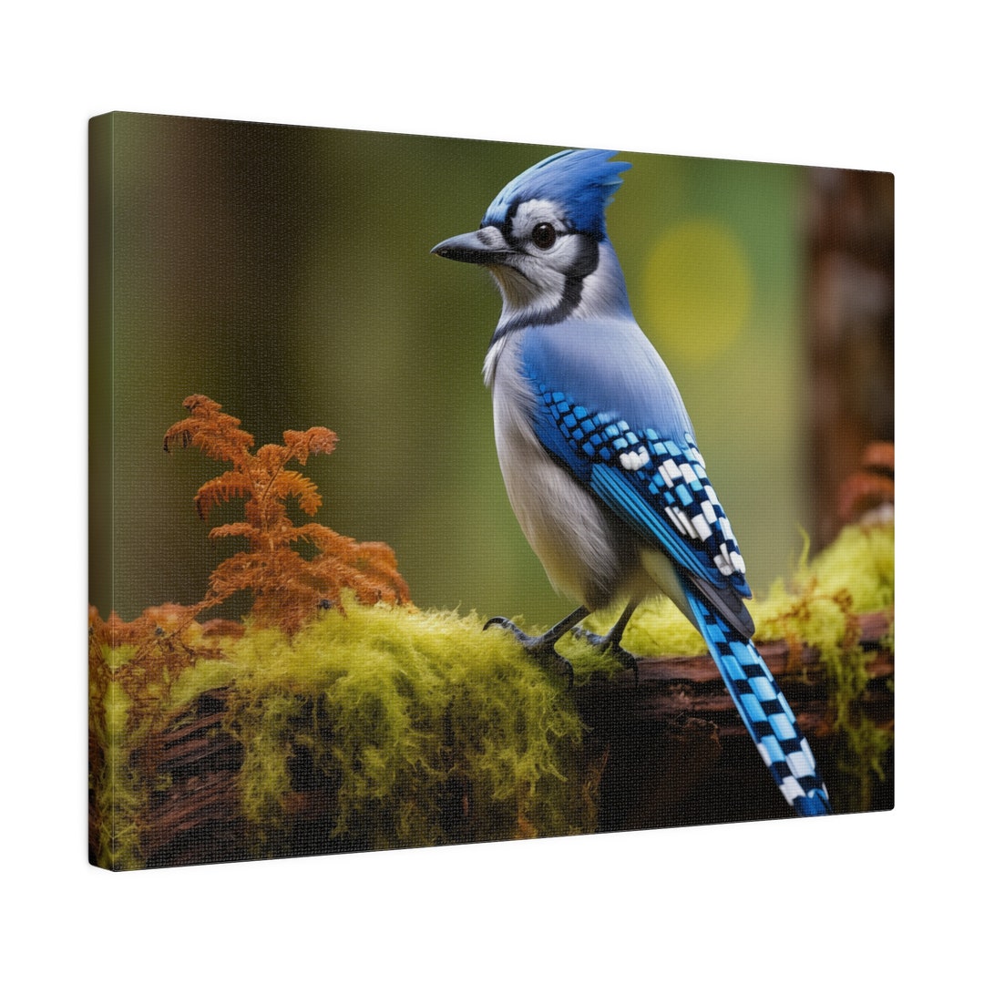 Bluejay Wall Art by Sara Williams. 12x9 Frame - Etsy