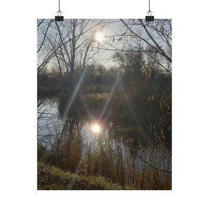 Poster - Autumn Sun and Pond Matte Vertical Posters, Nature Lovers ...
