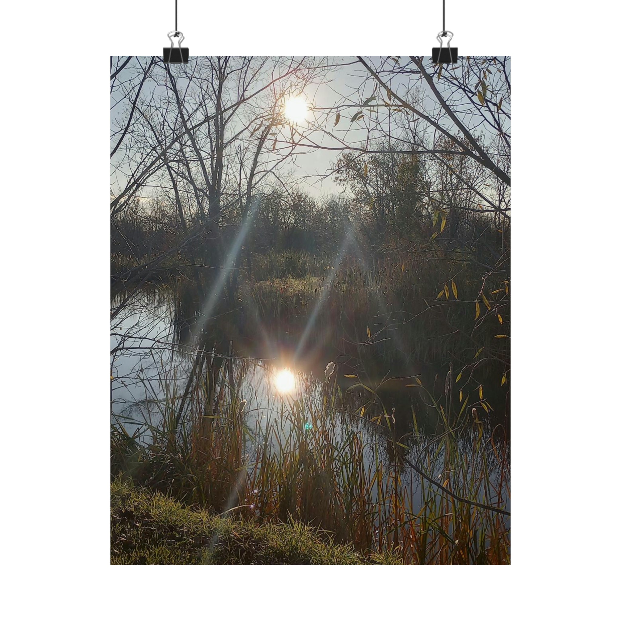 Poster - Autumn Sun and Pond Matte Vertical Posters, Nature Lovers ...