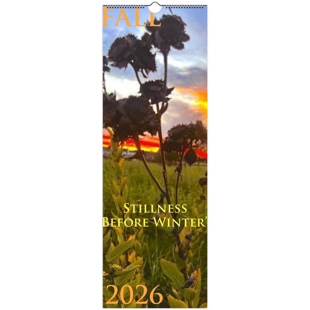 Wall Calendars 2026 “stillness Before Winter” (US & CA) - Etsy