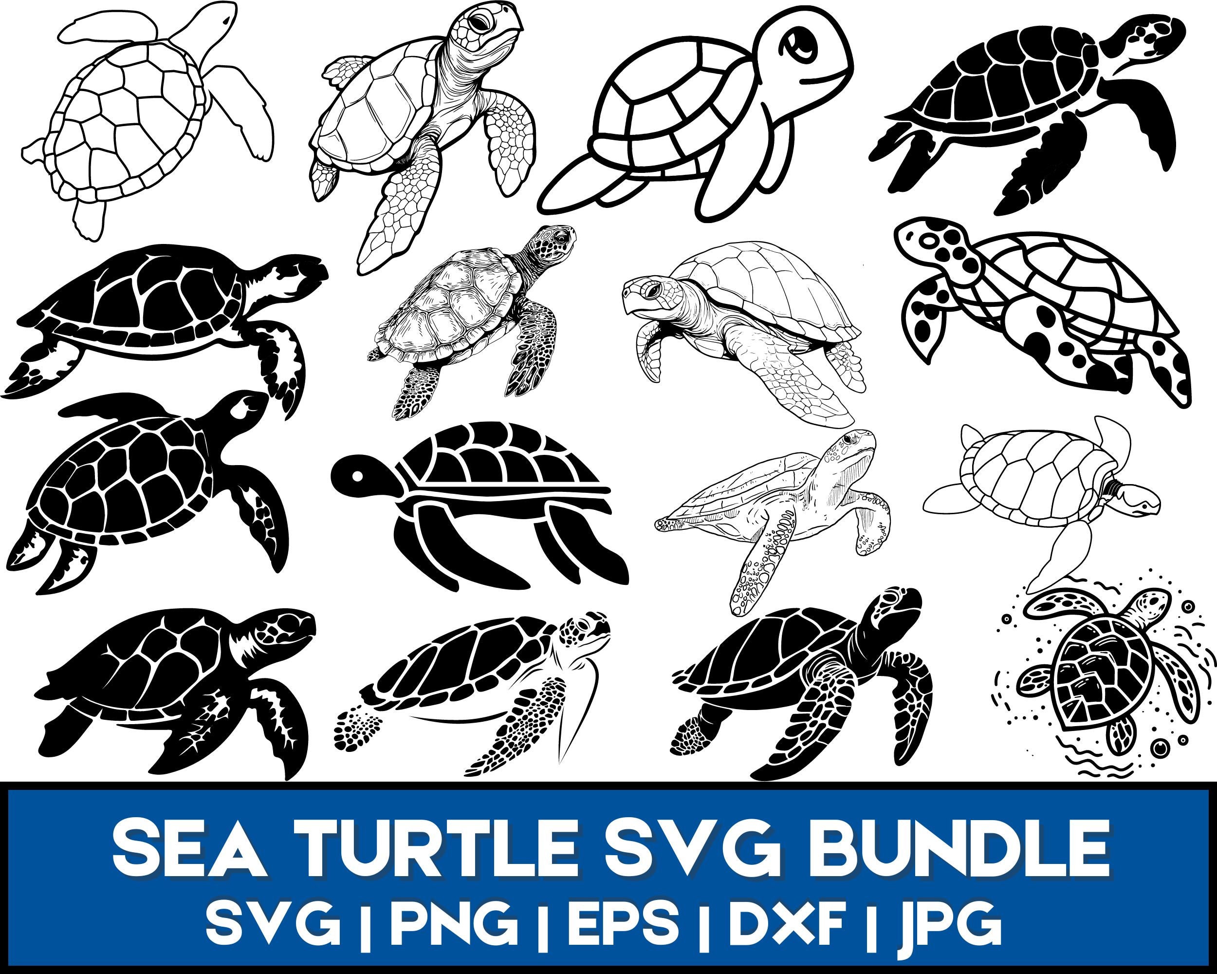 TURTLE SVG Sea Turtle Svg Sea Turtles DESIGNS Clipart Turtle Svg Files ...