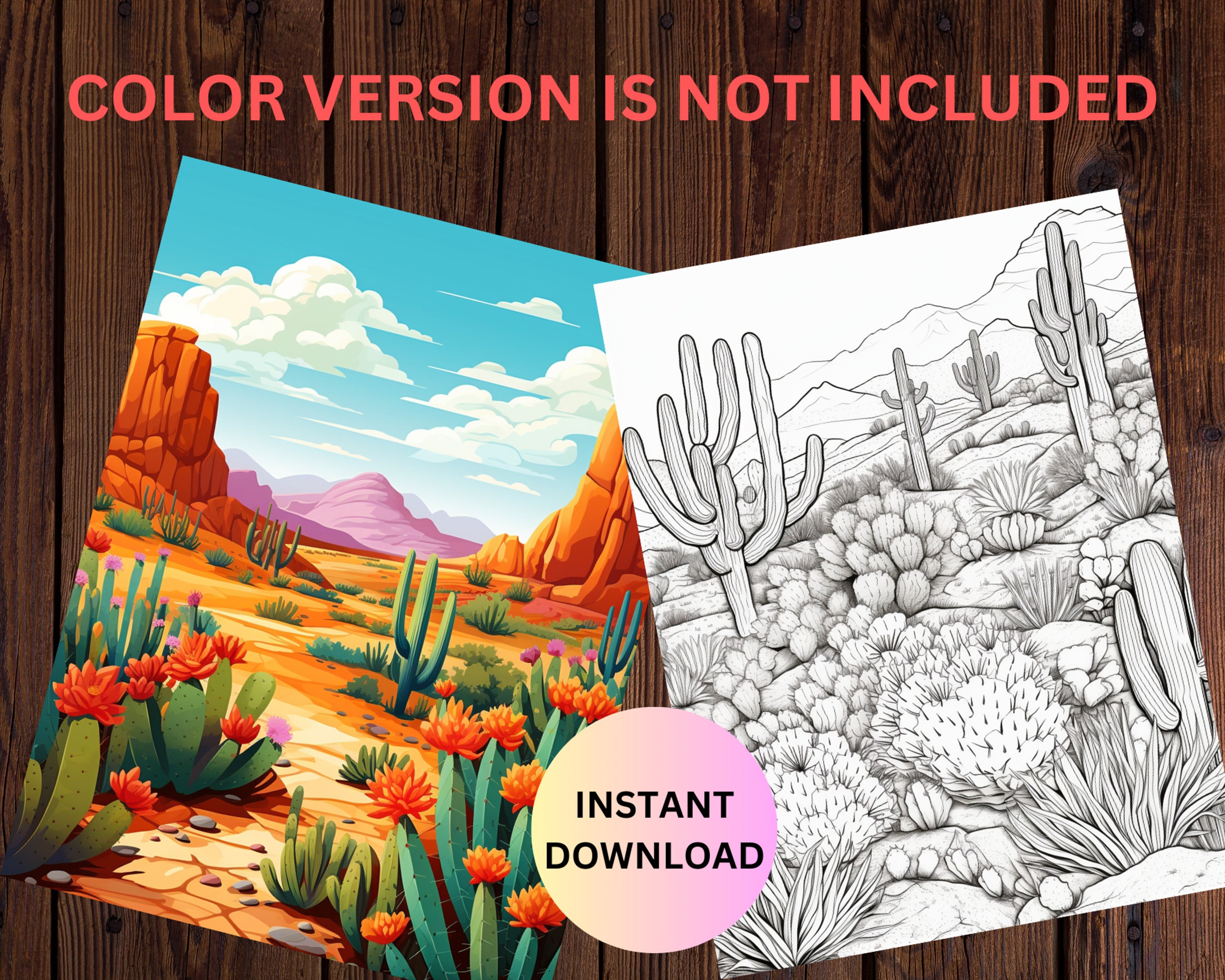 26 DESERT LANDSCAPE Coloring Page for ADULT Instant Download - Etsy