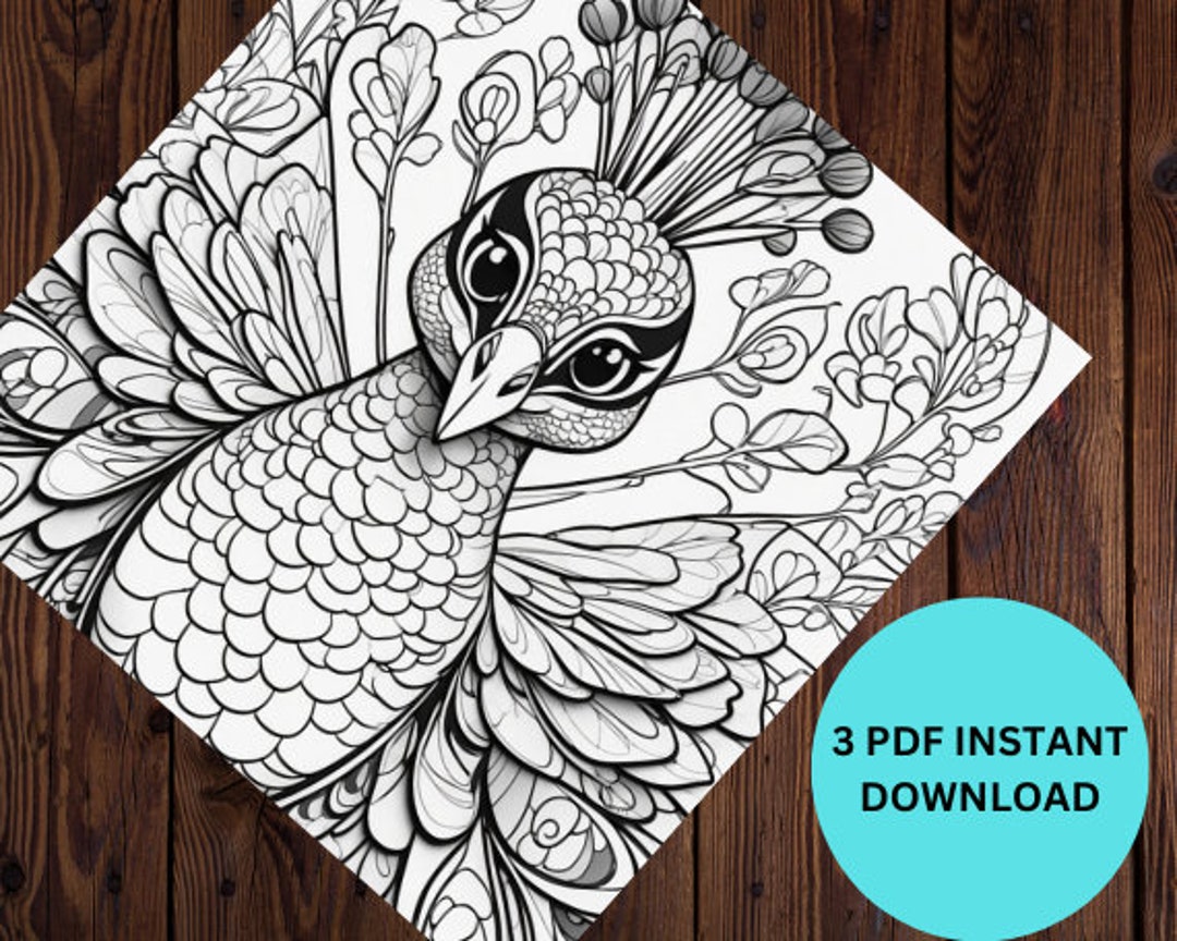 Cute Peacock Coloring Page Instant Download Cute Coloring - Etsy