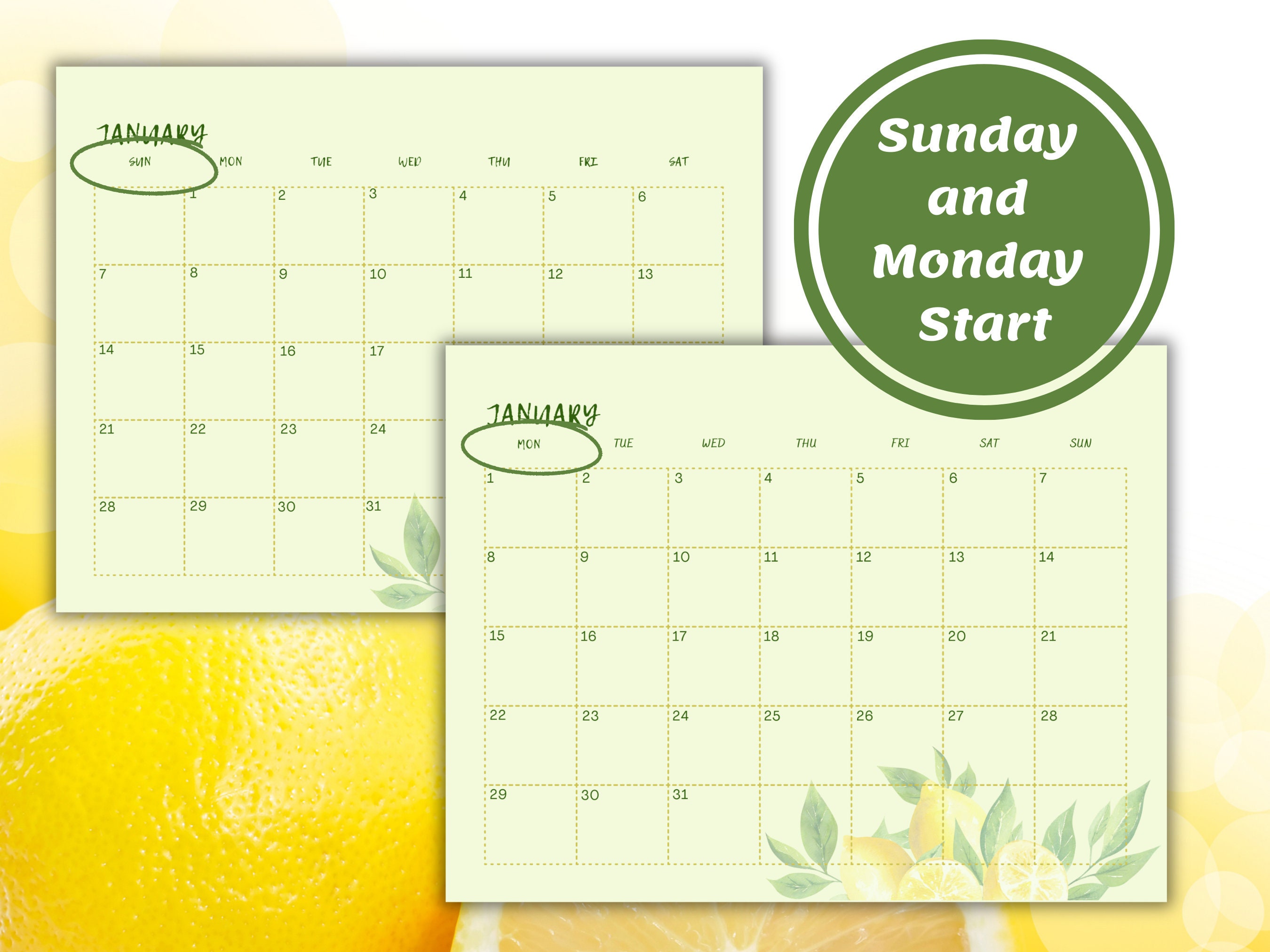 2024 Printable Lemon Monthly Dated Calendar Sunday and - Etsy