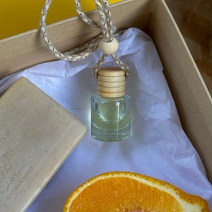 Citrus Bliss Car Diffuser - Long-lasting, Refreshing Hanging Car ...
