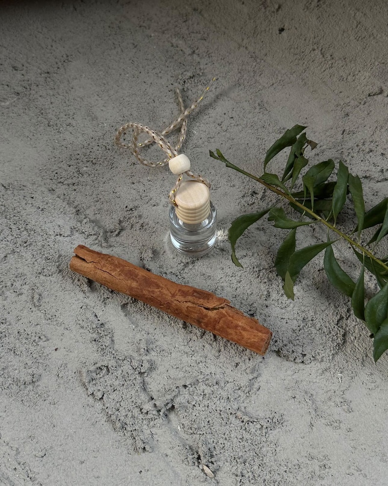 Car Diffuser, Car Freshenernatural Bliss Car Scent - Stylish Hanging Diffuser, Chic Car ...