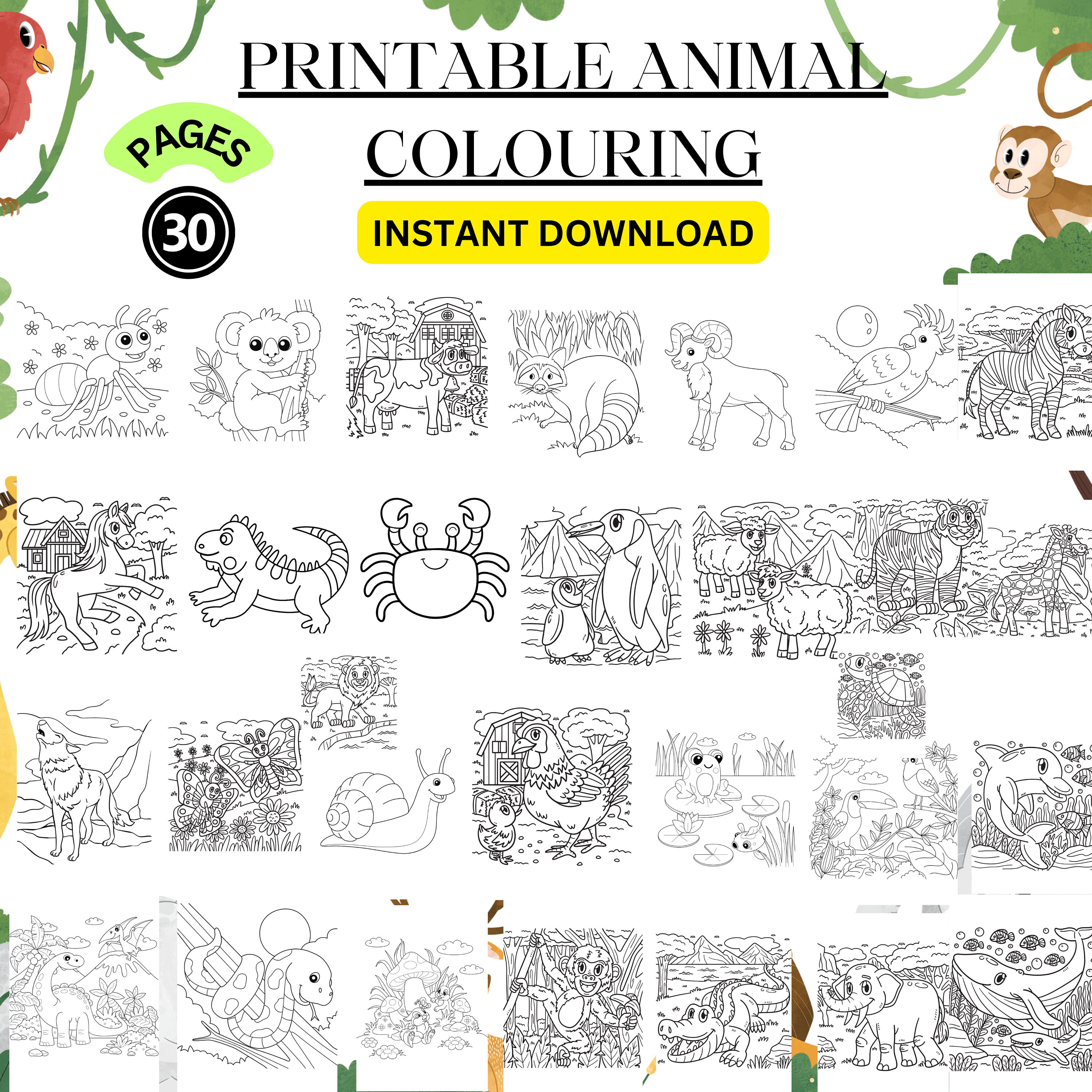 Animal Colouring Printable Pages Digital Download Kids - Etsy