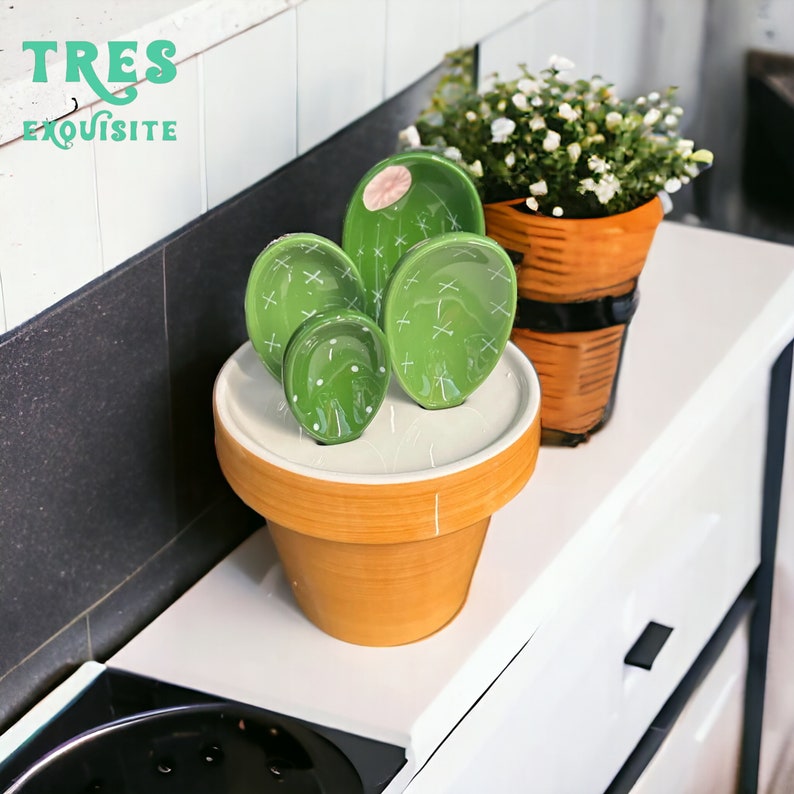 Cactus Measuring Cup, Spoons Gift Set Porcelain Kitchenware Unique ...