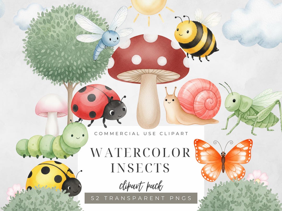 Watercolor Insects Clipart Bundle: Butterfly, Bee, Ladybug (PNG ...