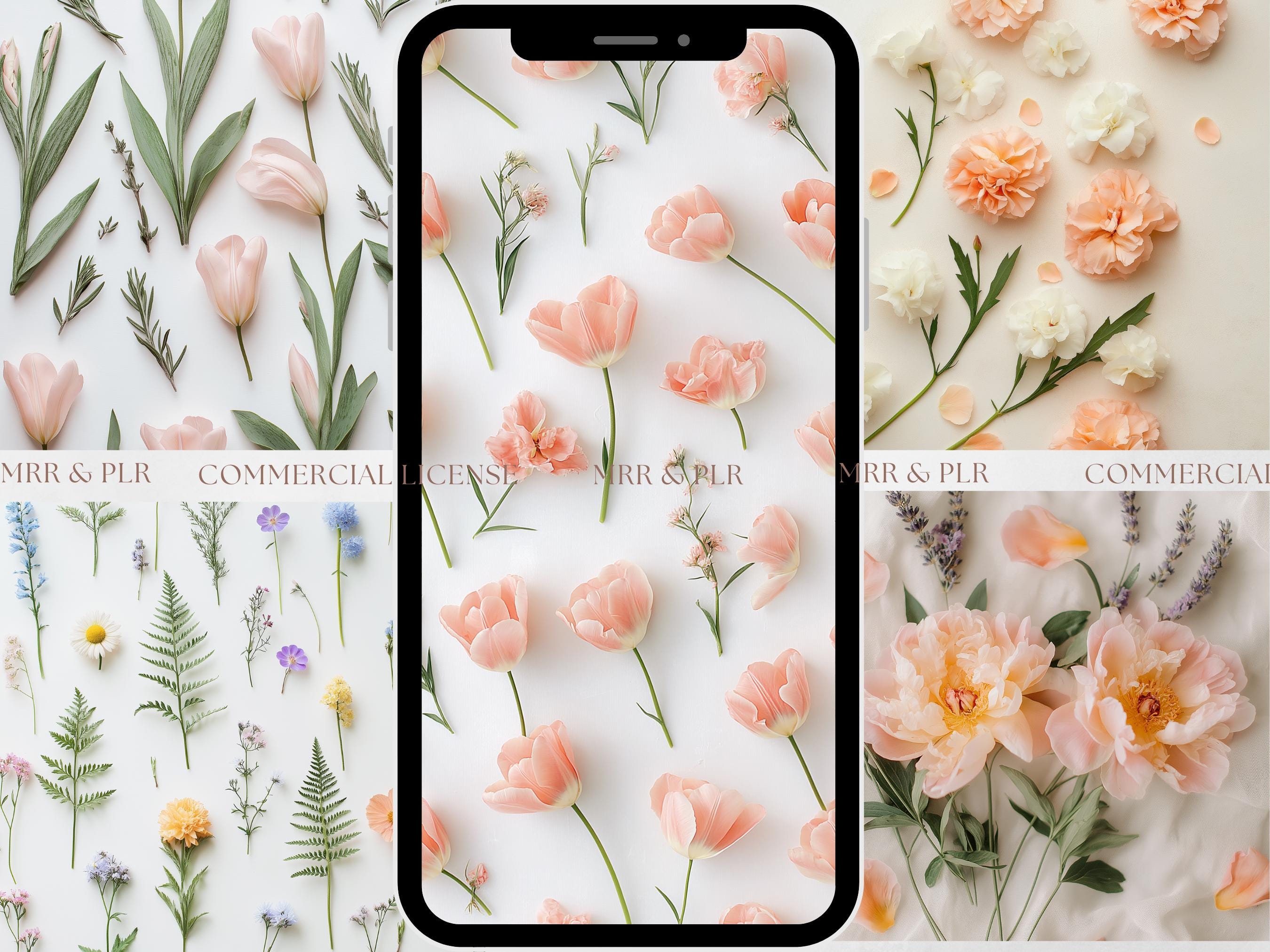 Flower Stock Photos Aesthetic Bouquet Stock Images Wildflowers Stock ...