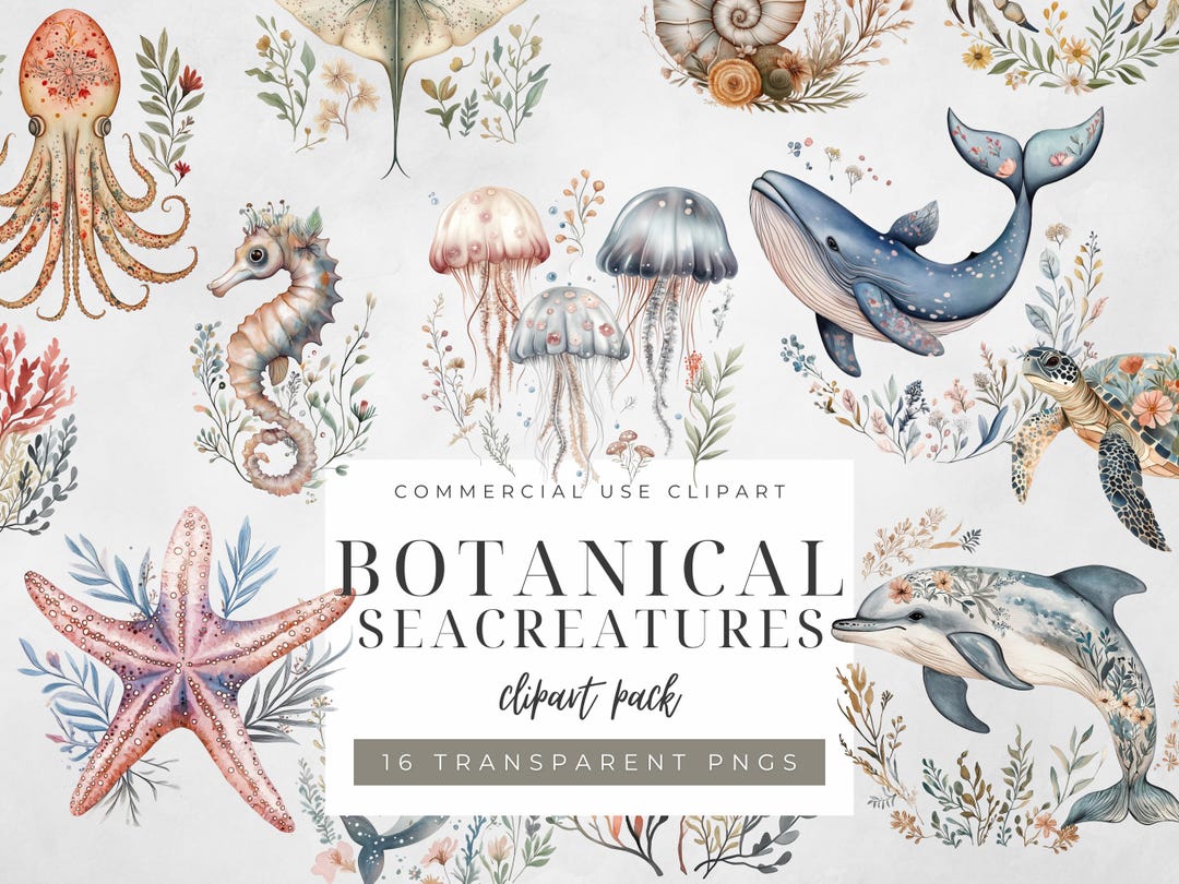 Sea Creature Clipart Bundle Whimsical Sea Creature Clipart Set ...