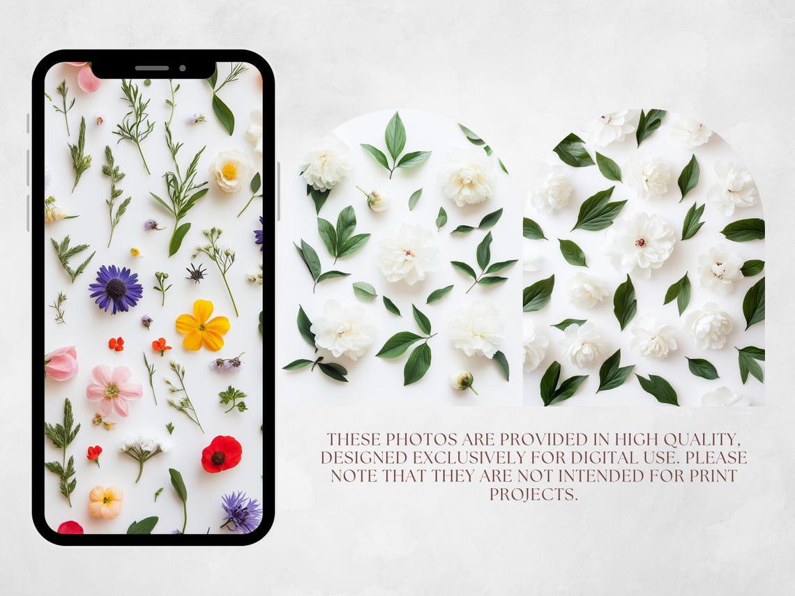 Flower Stock Photos Aesthetic Bouquet Stock Images Wildflowers Stock ...