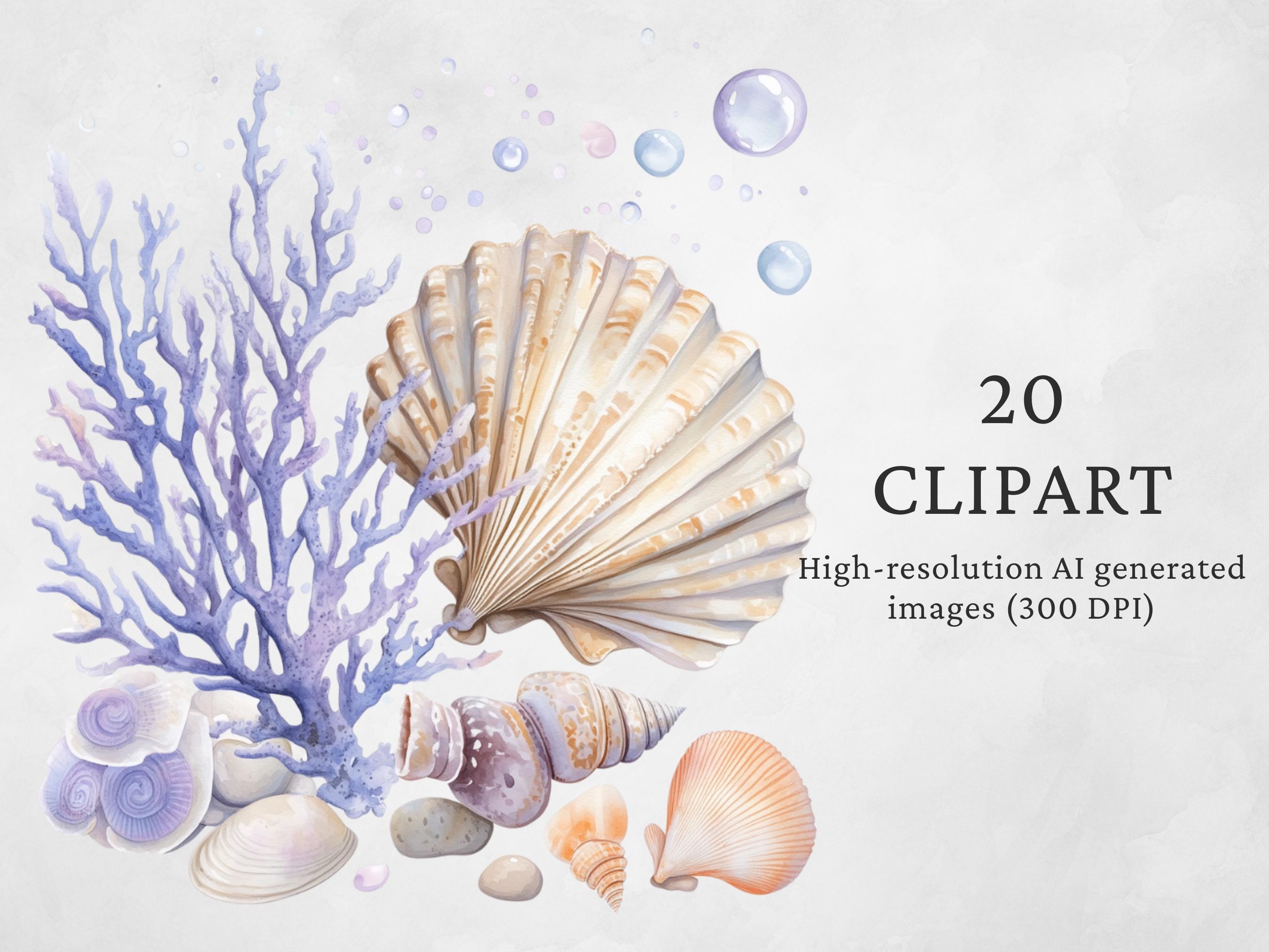 Seashell and Coral Watercolor Clipart, Coastal Ocean Clipart Bundle ...