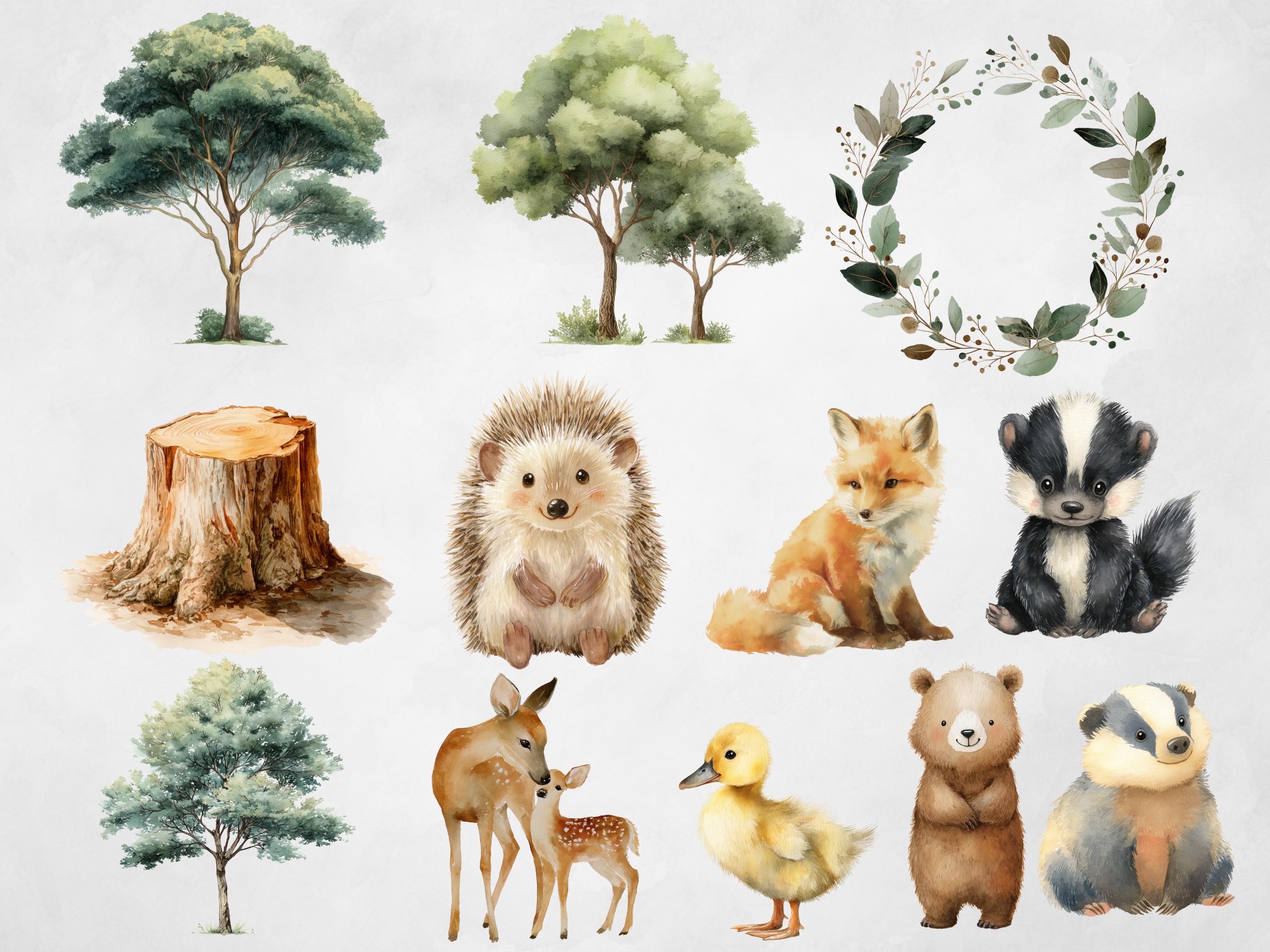 Forest Animals Clipart Bundle | Woodland Animals Baby Shower Clipart ...