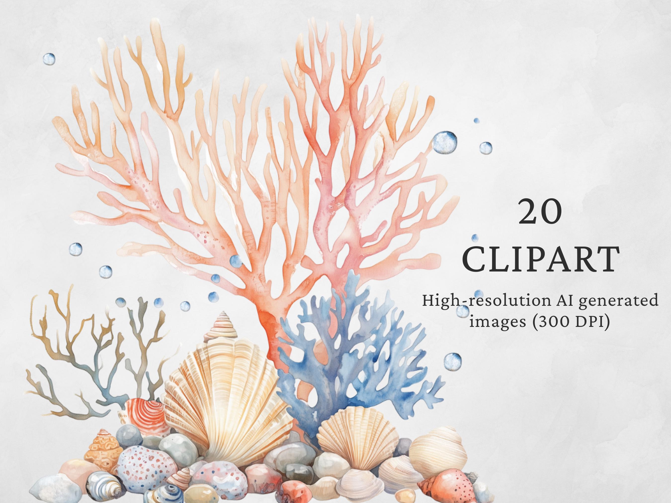 Seashell and Coral Watercolor Clipart, Coastal Ocean Clipart Bundle ...