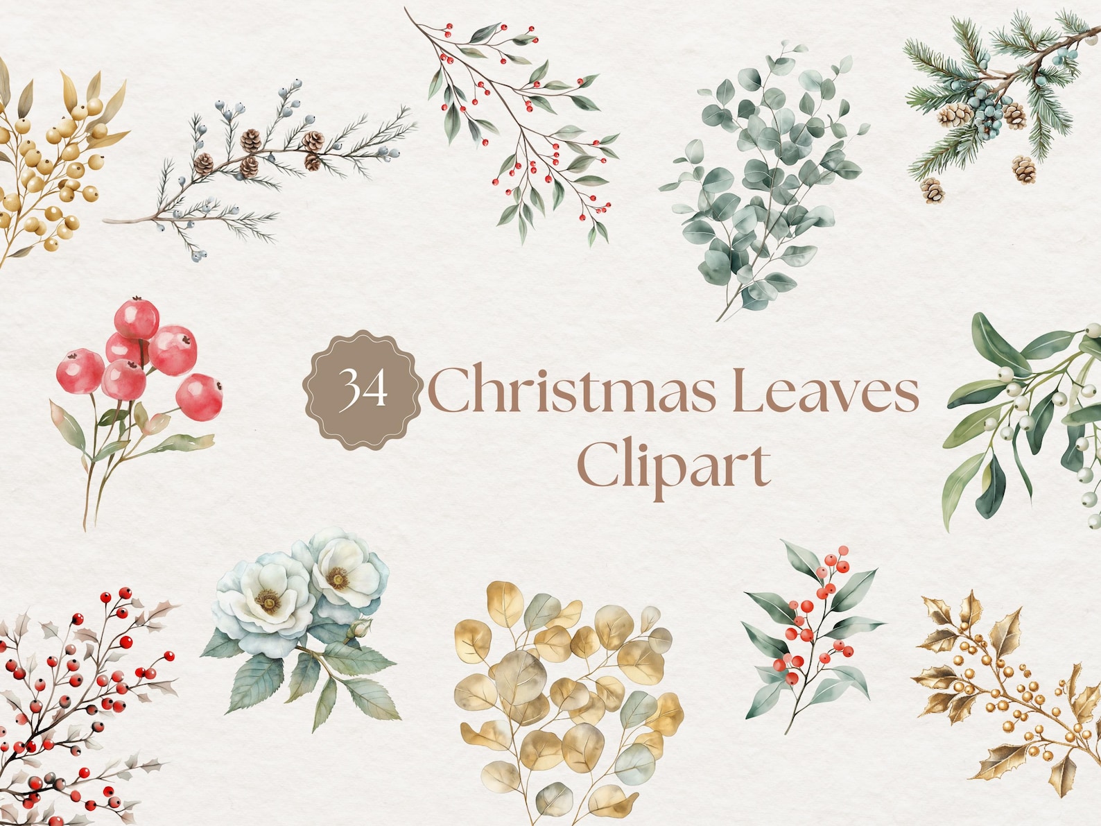 Watercolor Christmas Leaves Clipart: Holiday Botanical PNG (34 Cliparts ...