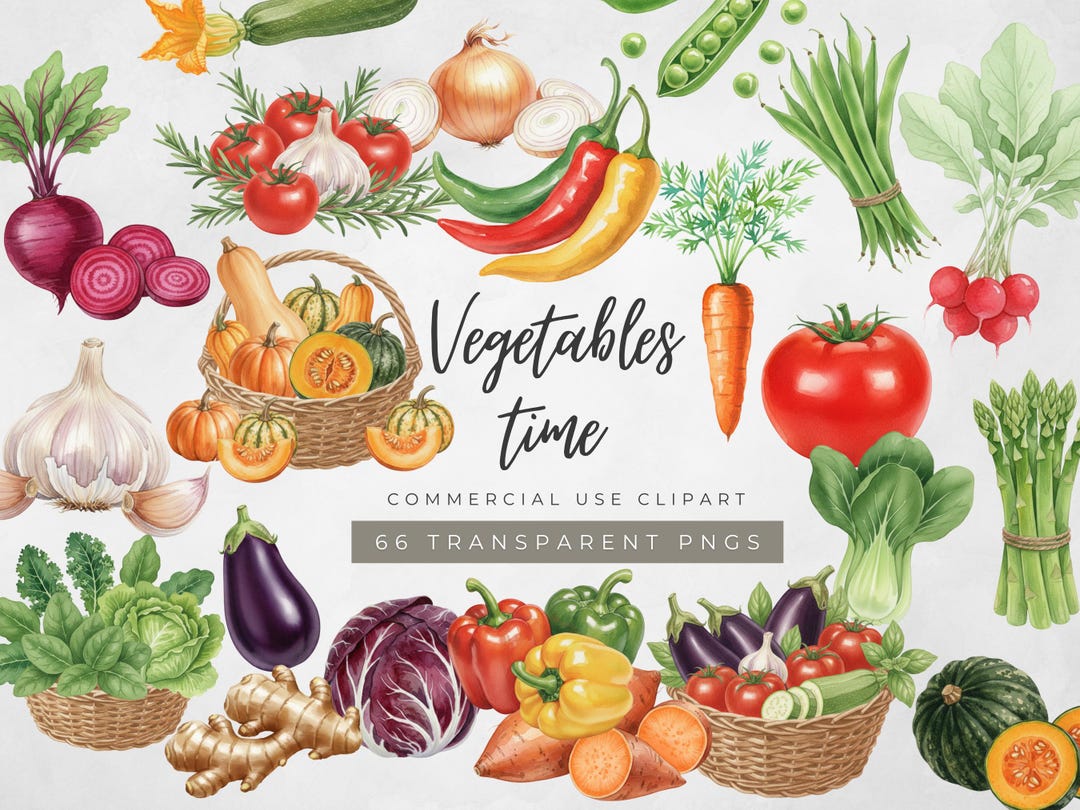 Watercolor Vegetables Clipart Set, Fresh Farm Veggie PNG Illustrations ...