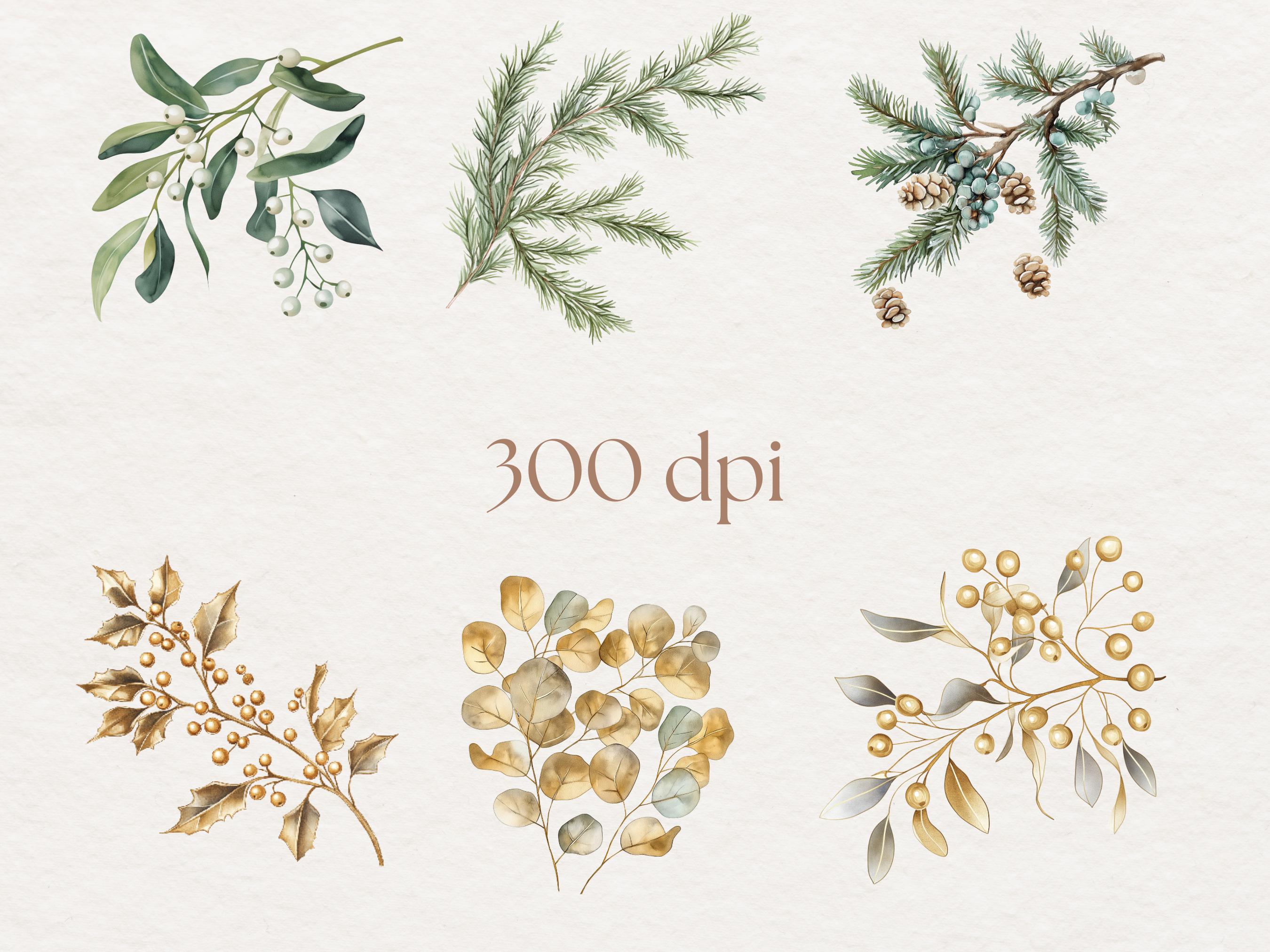 Watercolor Christmas Leaves Clipart: Holiday Botanical PNG (34 Cliparts ...