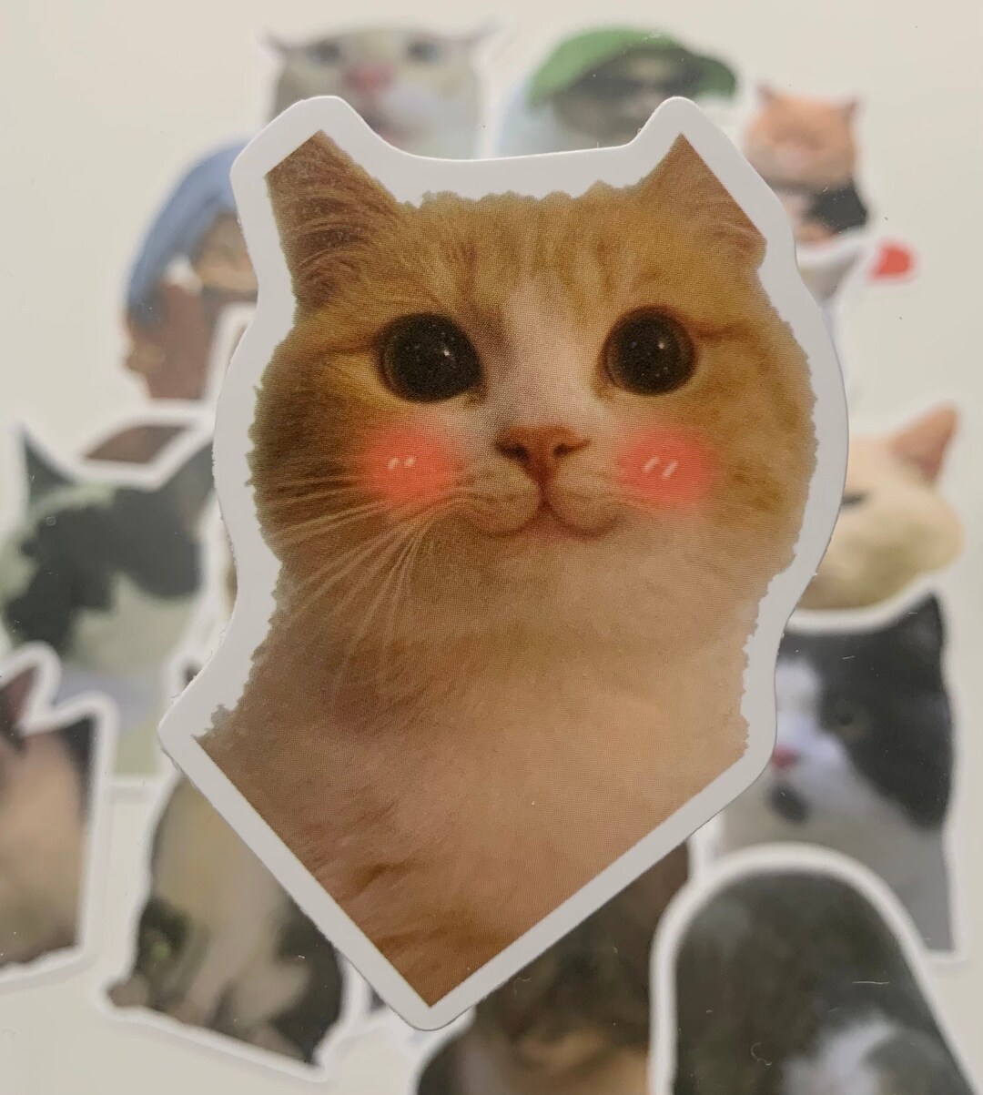 Funny Cats Sticker Pack / Cute Kitties, Cat Loaf, Cat Lovers - Etsy