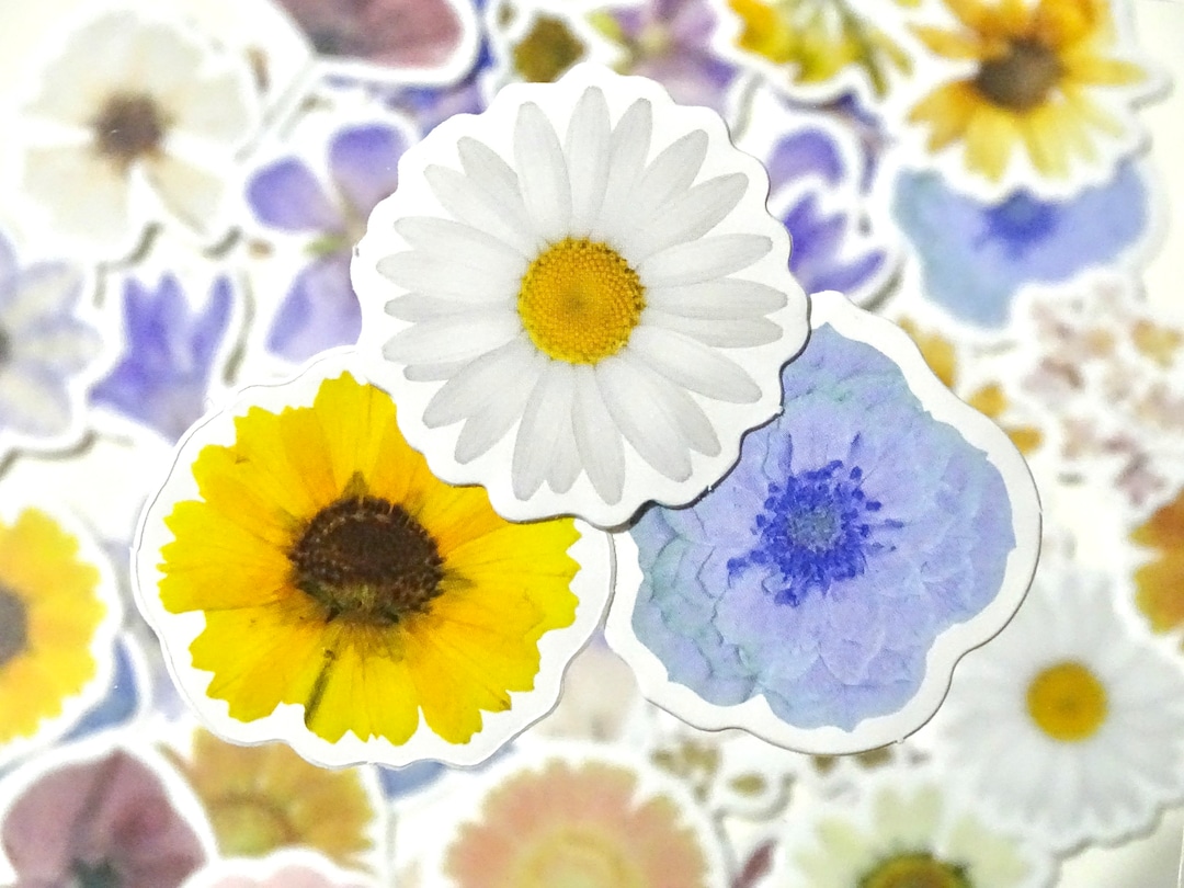 46 Flower Sticker Pack / Realistic Flowers / Variety Pack / Colorful - Etsy