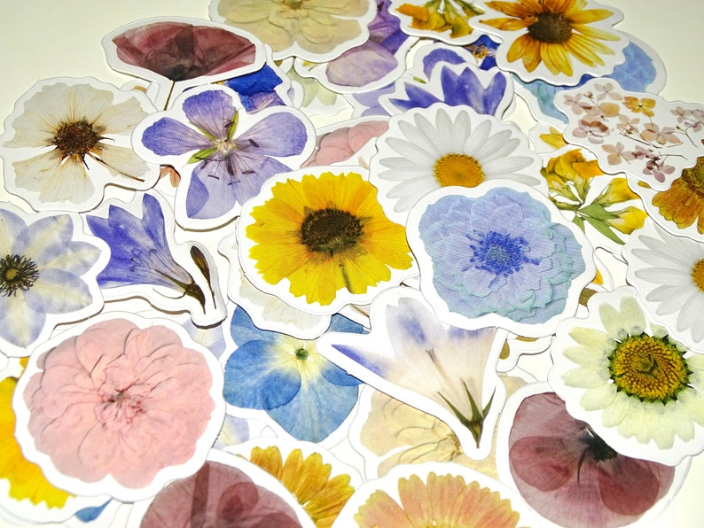 46 Flower Sticker Pack / Realistic Flowers / Variety Pack / Colorful - Etsy