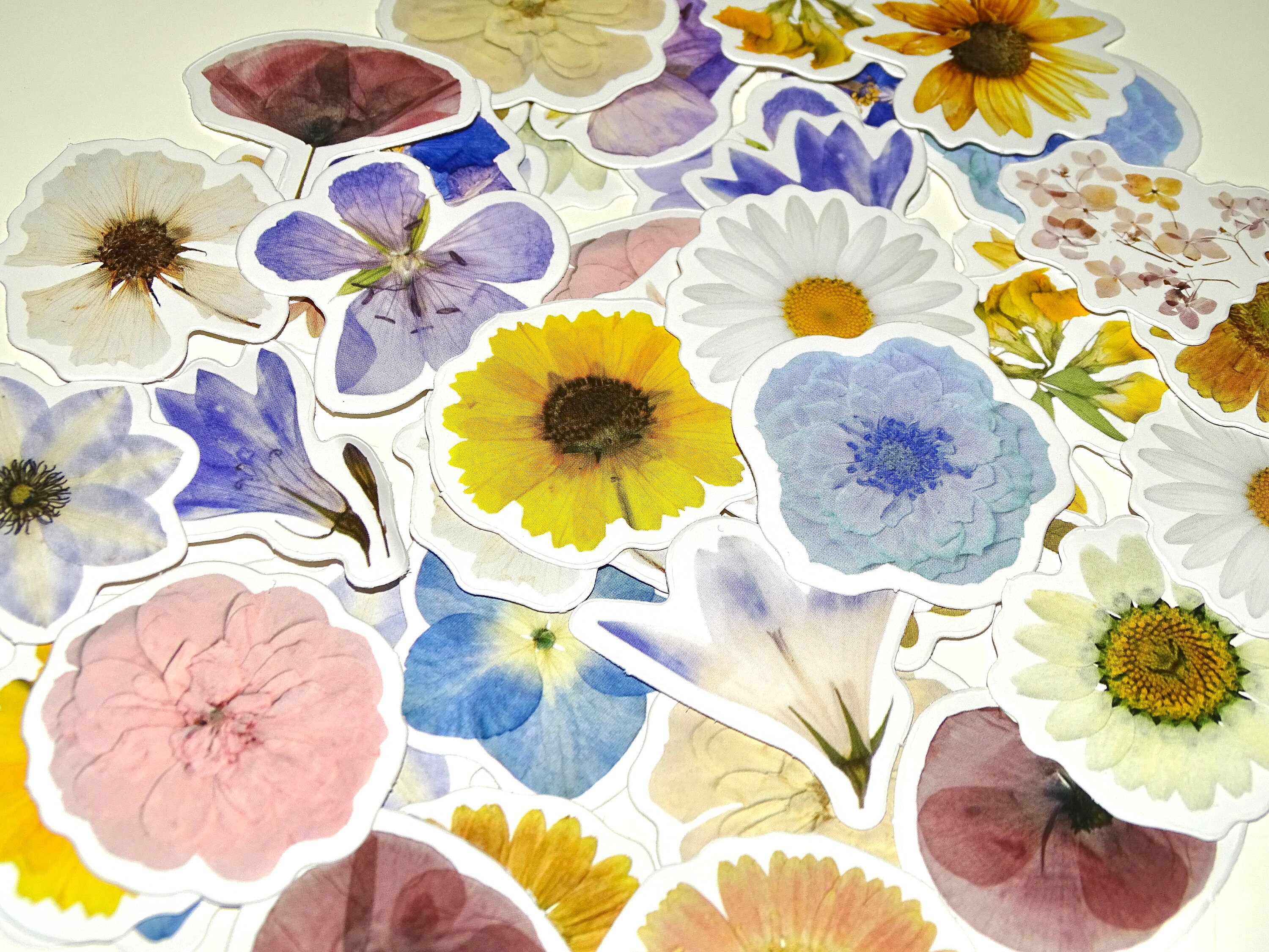 46 Flower Sticker Pack / Realistic Flowers / Variety Pack / Colorful - Etsy