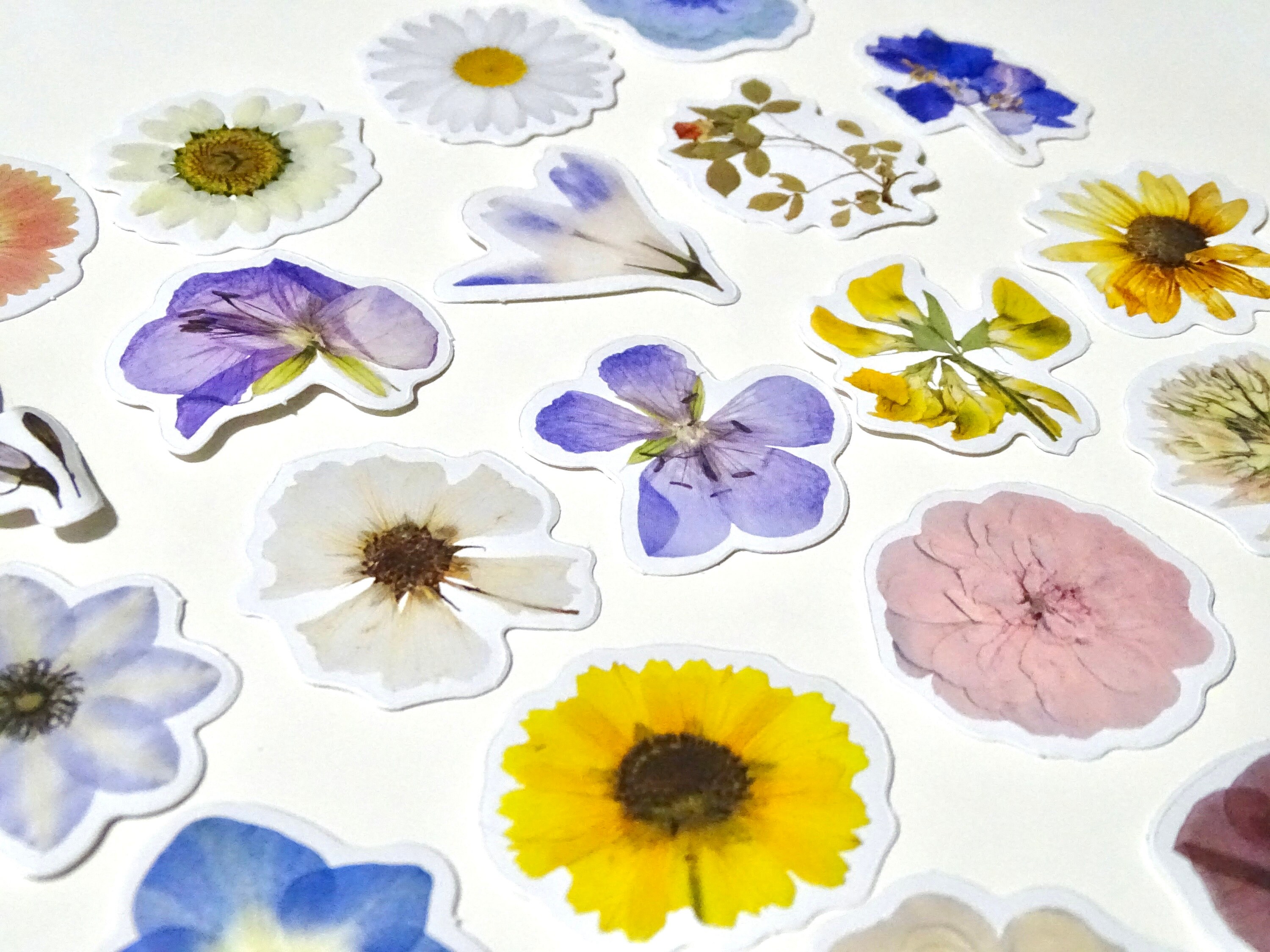 46 Flower Sticker Pack / Realistic Flowers / Variety Pack / Colorful - Etsy
