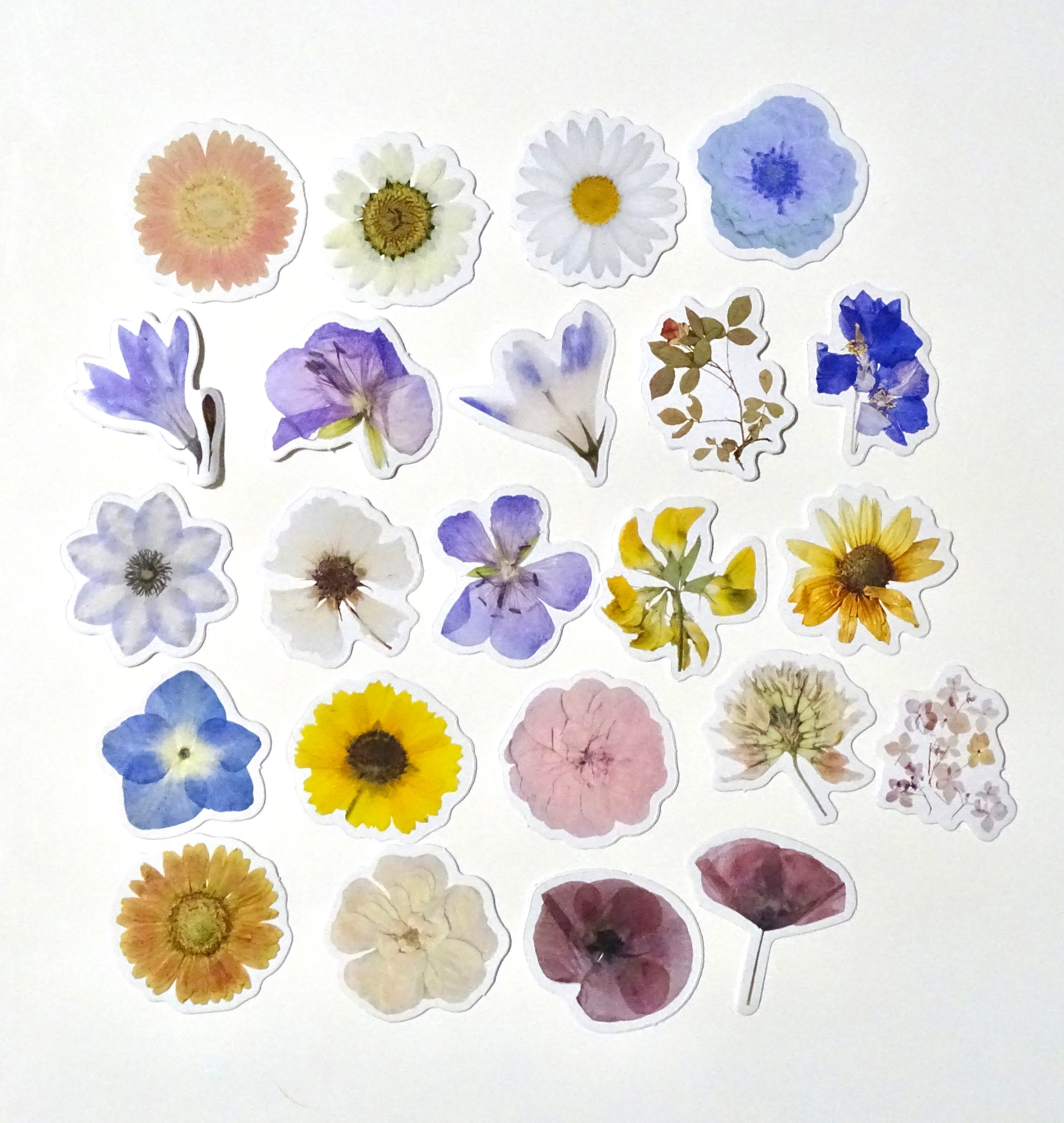 46 Flower Sticker Pack / Realistic Flowers / Variety Pack / Colorful - Etsy