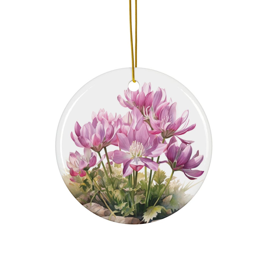 Montana Bitterroot Floral Ornament | State Flower Close-up | Botanical ...