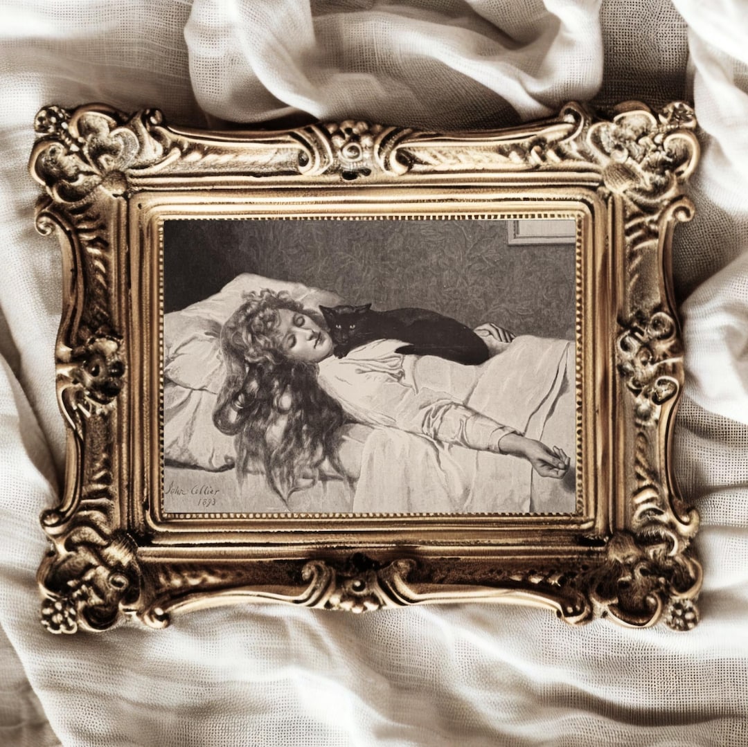 Victorian Witch Oil Painting: Woman Sleeping With Black Cat (digital ...