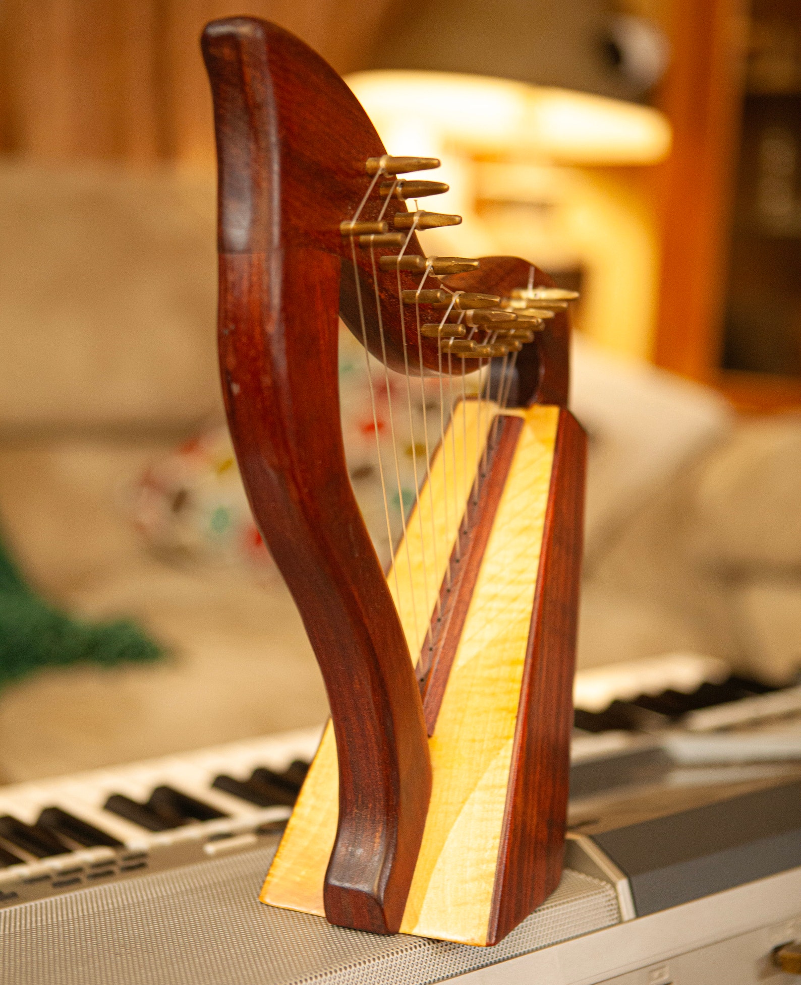 Plans for Baby Harp, Woodworking Project PDF Blueprints, 11 Strings ...