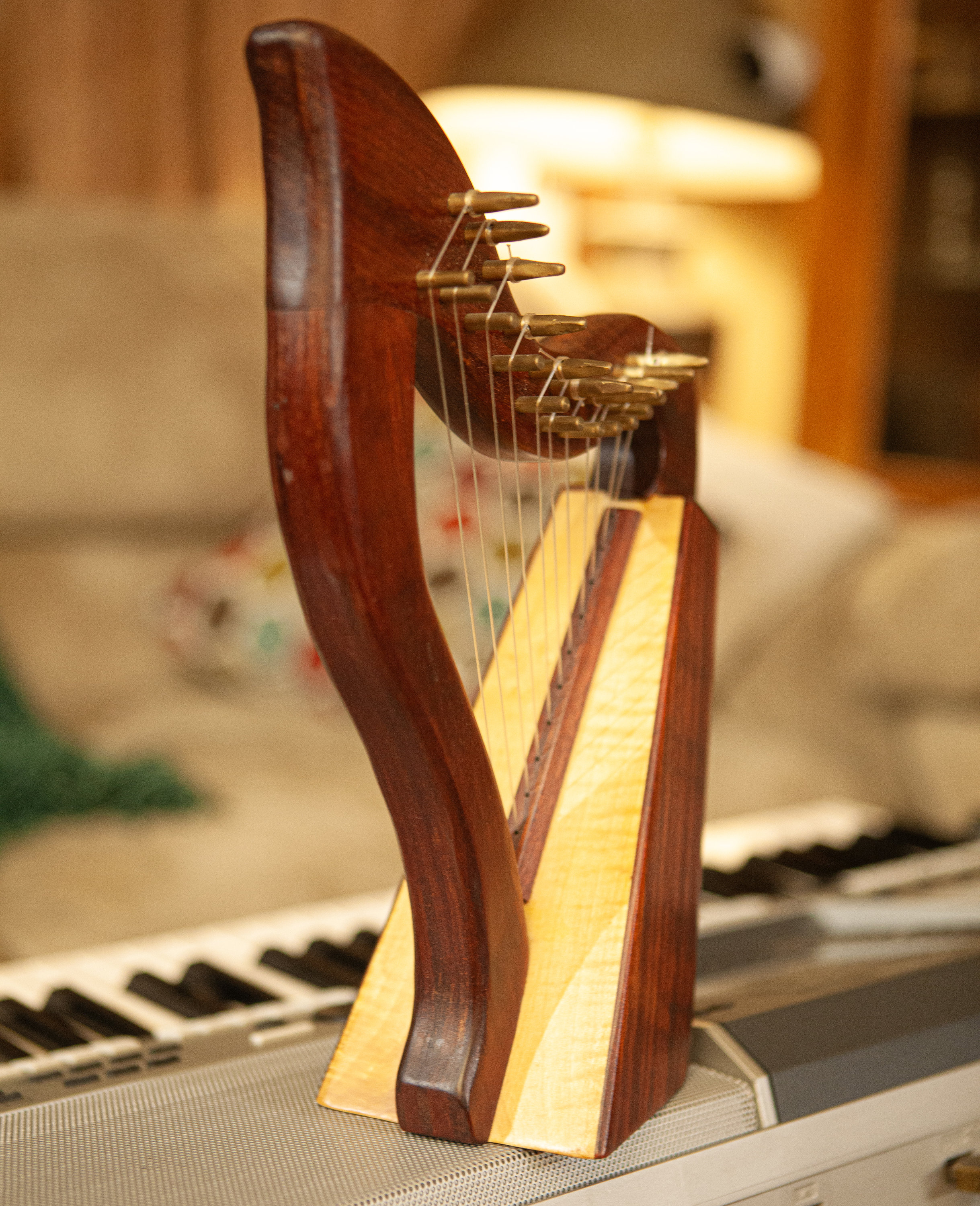 Plans for Baby Harp, Woodworking Project PDF Blueprints, 11 Strings ...