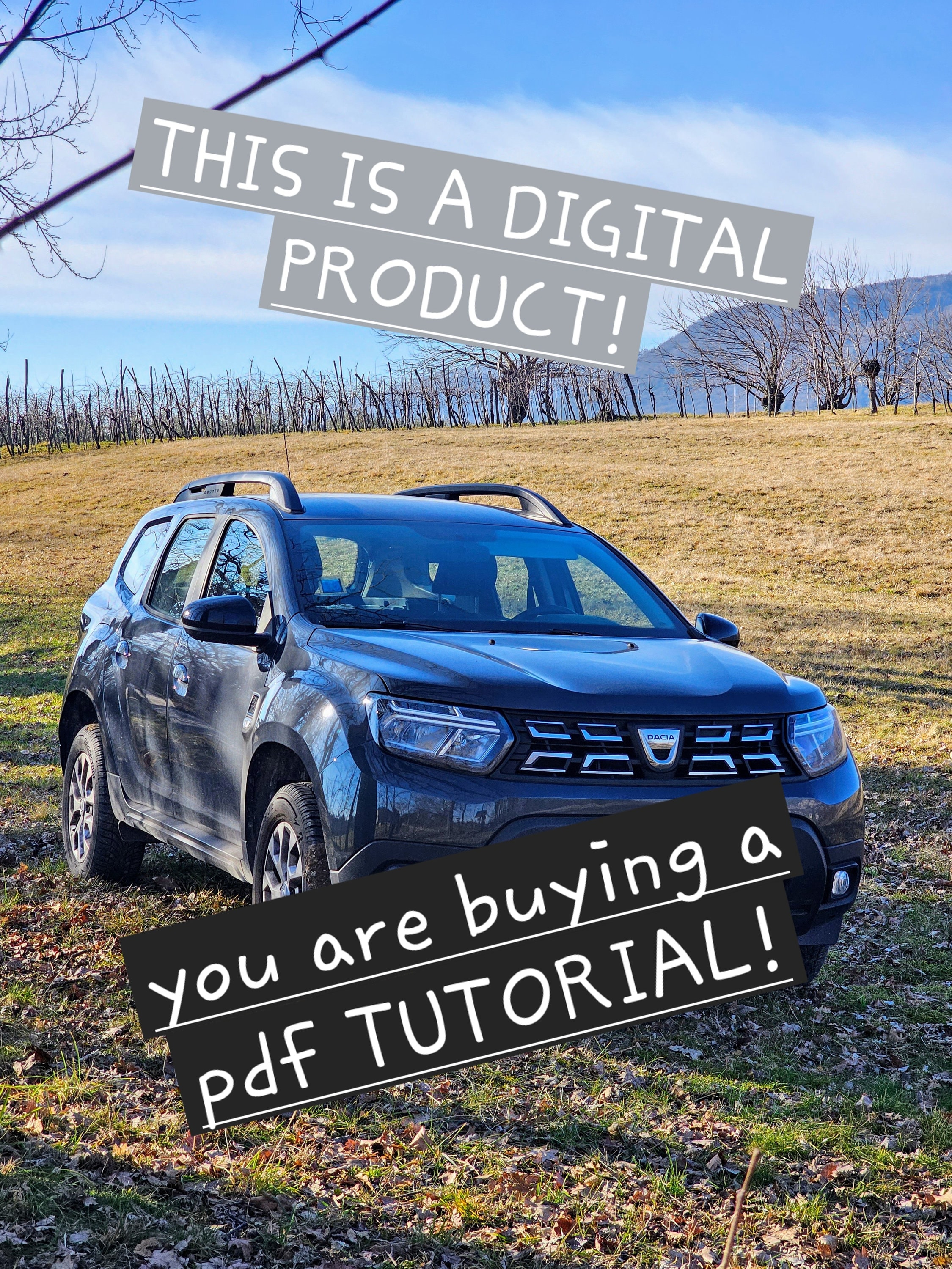 Wooden Camping Box Project Foldable Bed Fits in the Dacia Duster Car ...