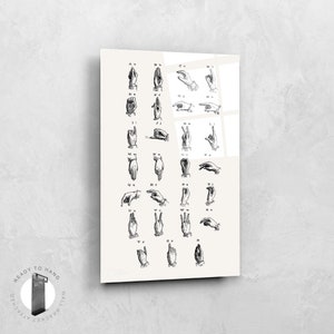 Sign Language Poster, ASL Alphabet Print, American Sign Language Canvas ...