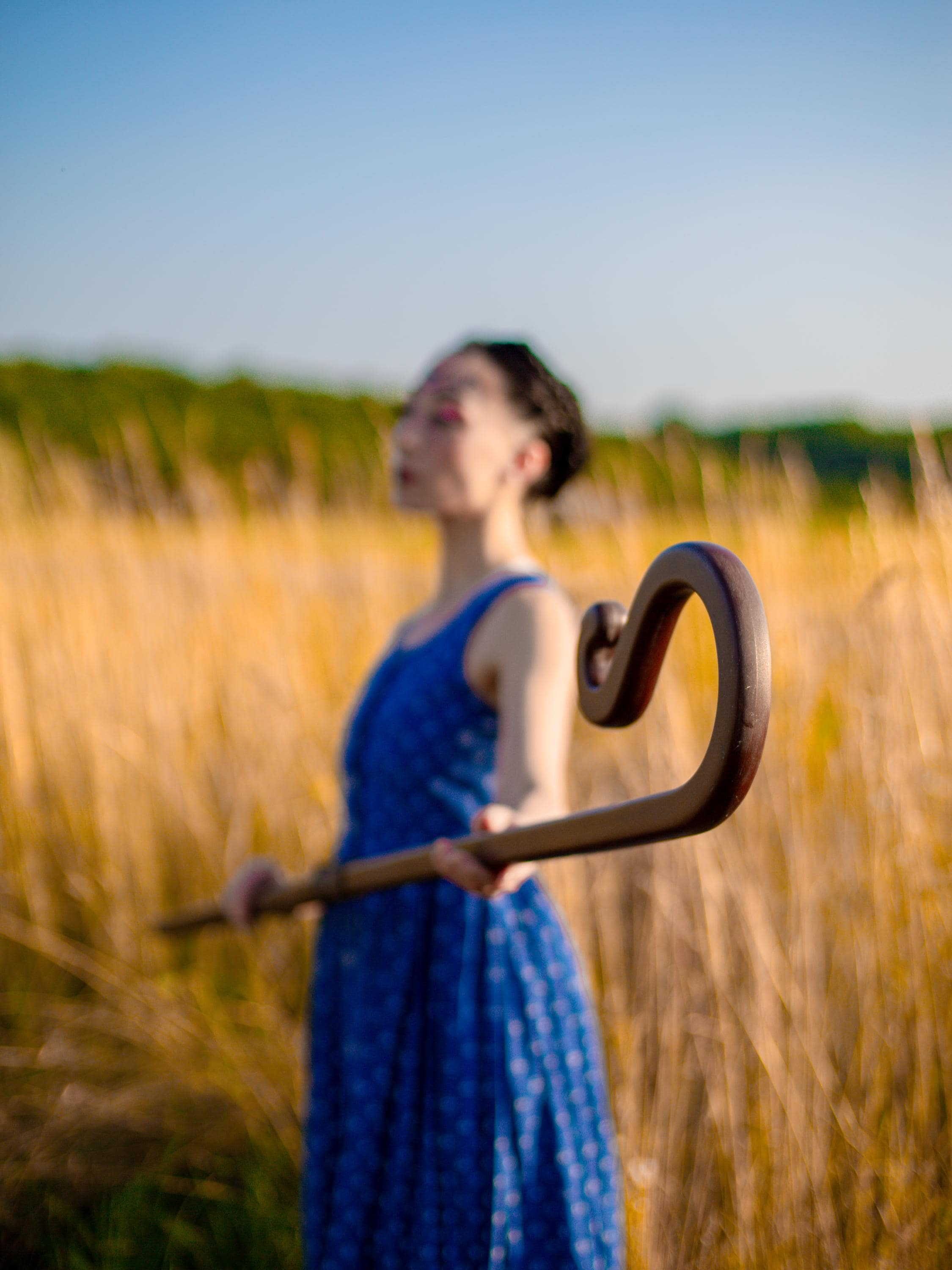 The Shepherd’s Staff of Harmony – Cosplay Wooden Walking Stick, Rustic ...