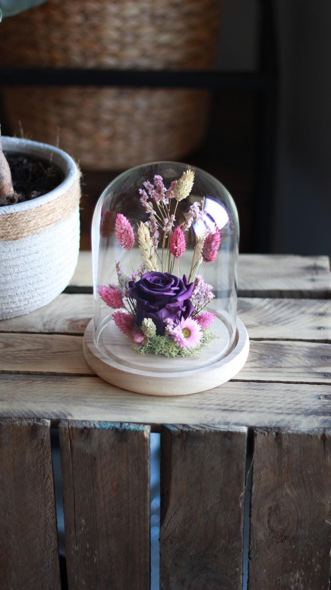 Purple Eternal Rose Under Bell Jar and Dried Flowers, Stabilized Rose ...