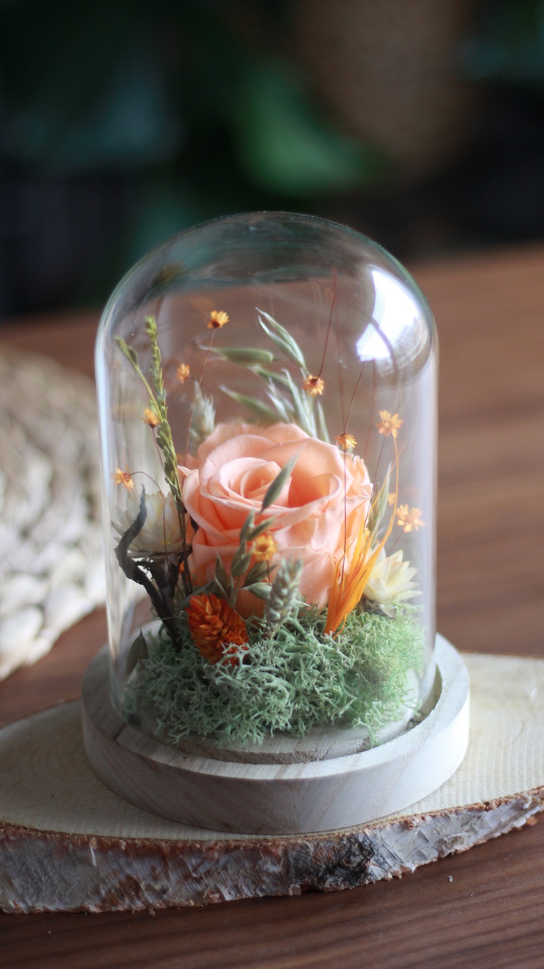 Peach Eternal Rose Under Glass and Dried Flowers, Interior Decoration ...