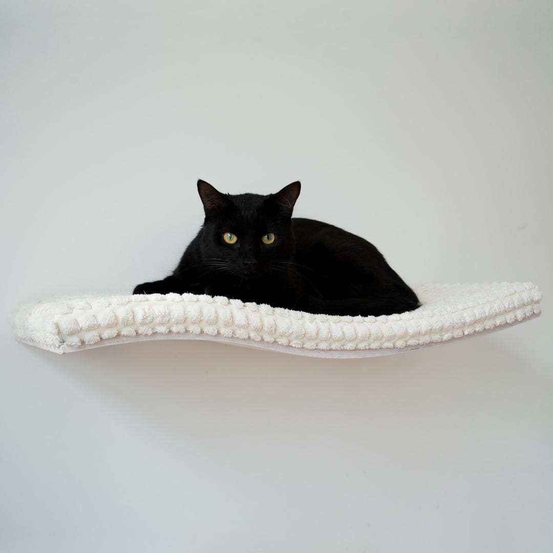 Cat Wall Mounted Shelf, Floating Cat Bed, Cat Wall Furniture, Cat ...