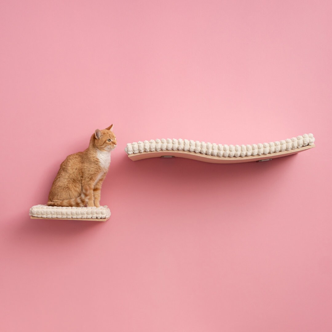 Modern Beech Cat Wall Set: Bed & Step - Climbing Furniture - Etsy