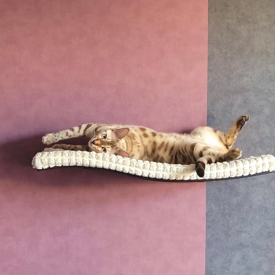 Modern Beech Cat Wall Shelf With Velour Cushion - Etsy UK