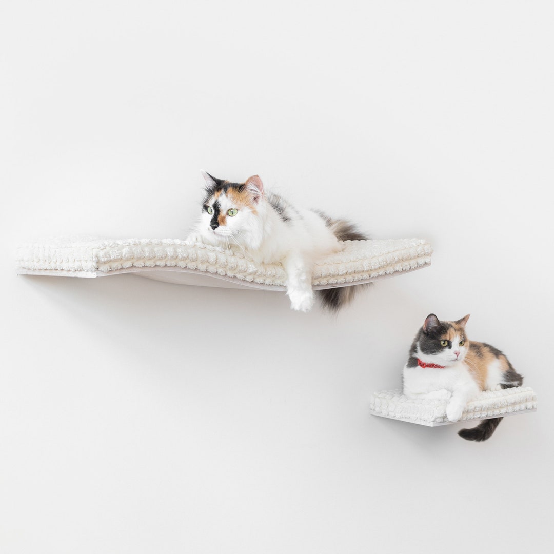 Beech Wood Cat Wall Shelves: Modern Floating Cat Bed & Steps - Etsy