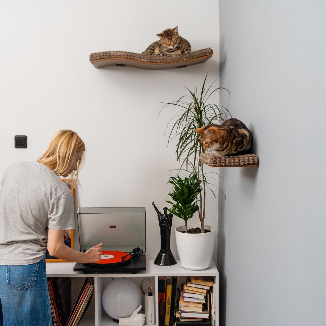 Handmade Beech Cat Wall Shelves: Modern Cat Bed & Step Set - Etsy