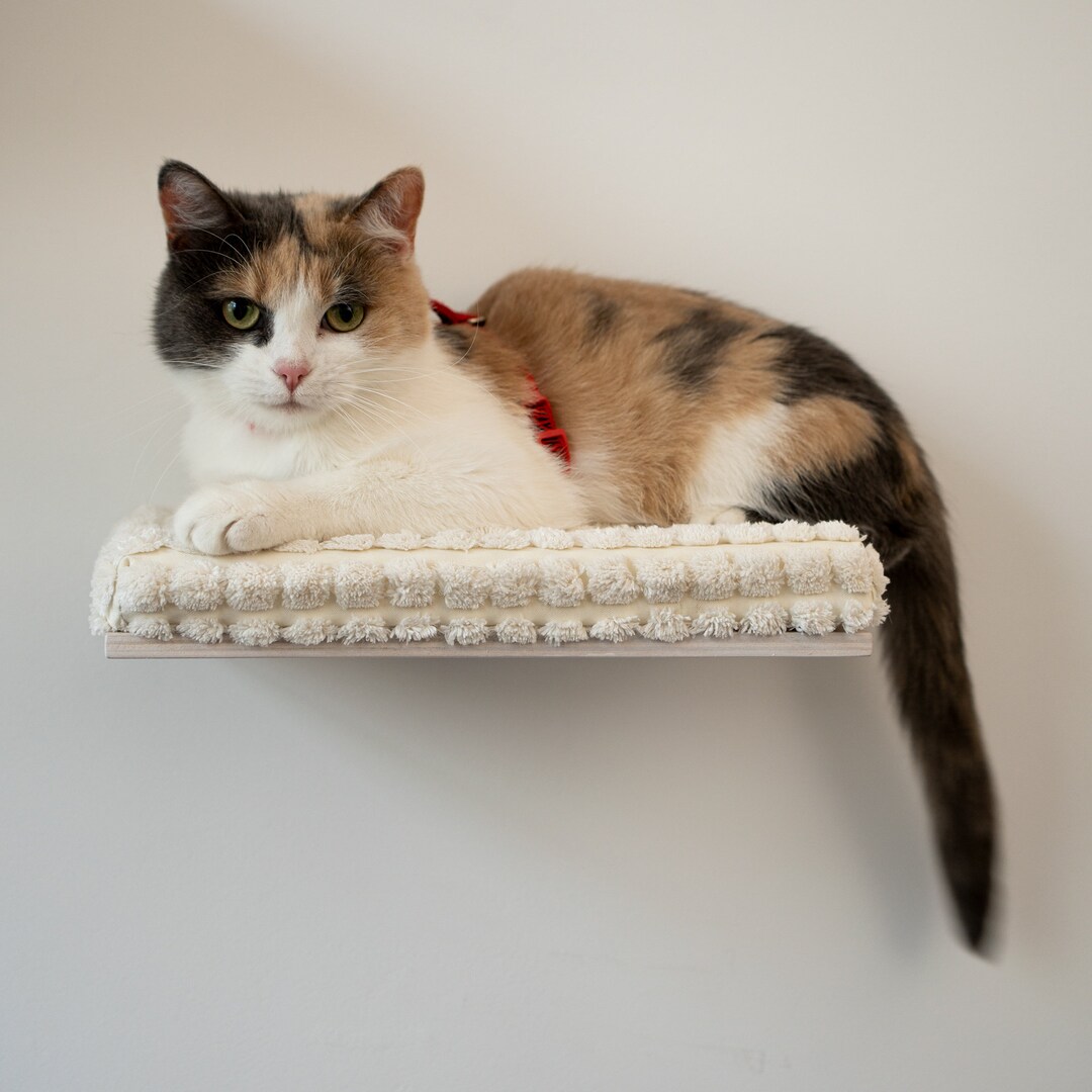 Cat Steps for Wall, Cat Shelf, Cat Furniture, Cat Perch, Cat Wall ...