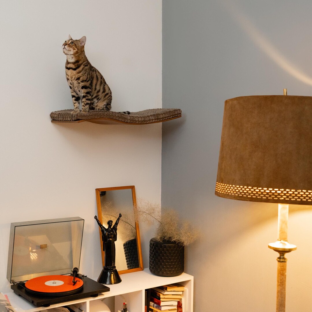 Handmade Beech Wood Floating Cat Bed: Wall Mounted Cat Shelf - Etsy
